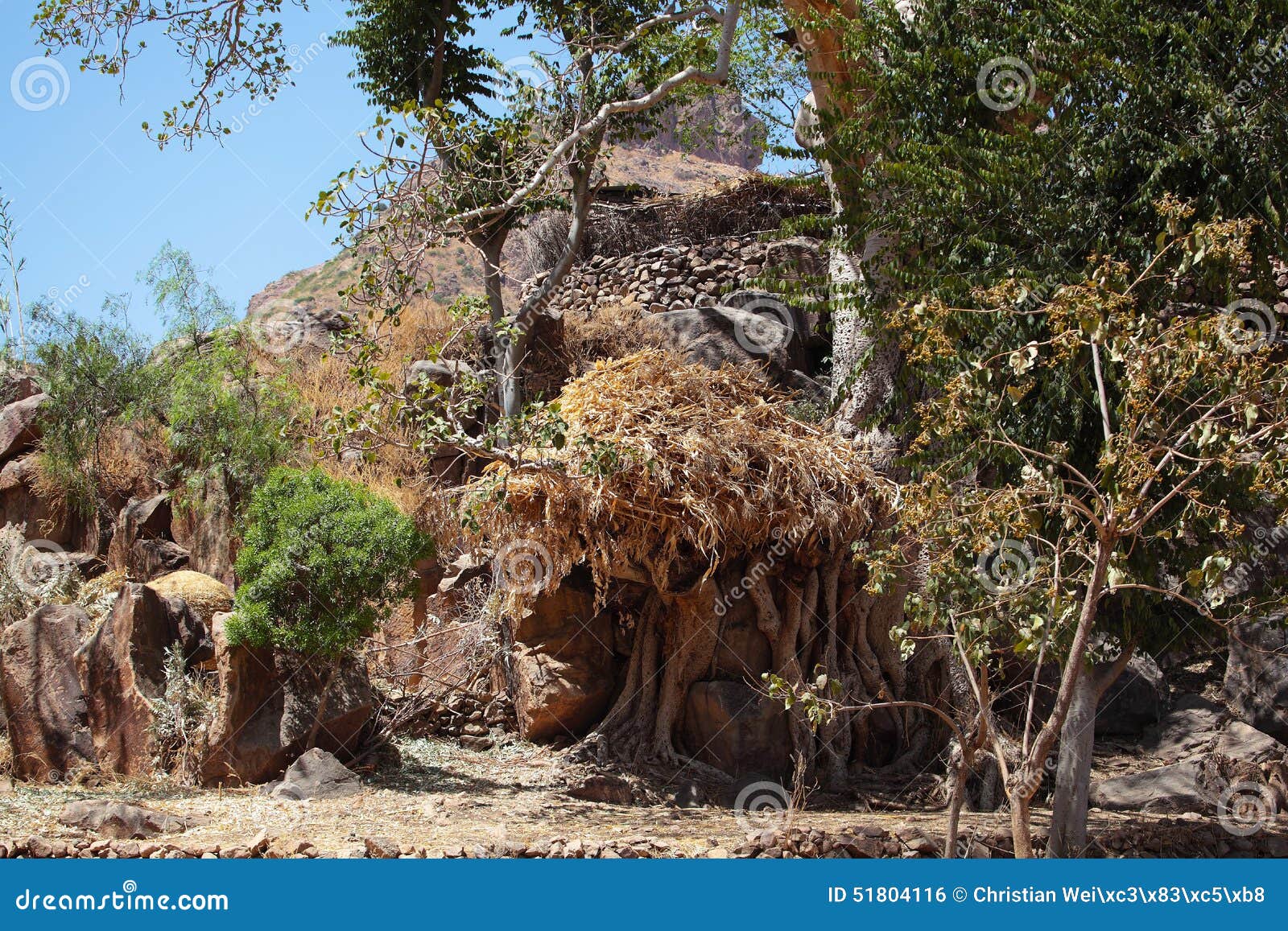 Straw bale stock photo. Image of hidden, staple, harvest - 51804116