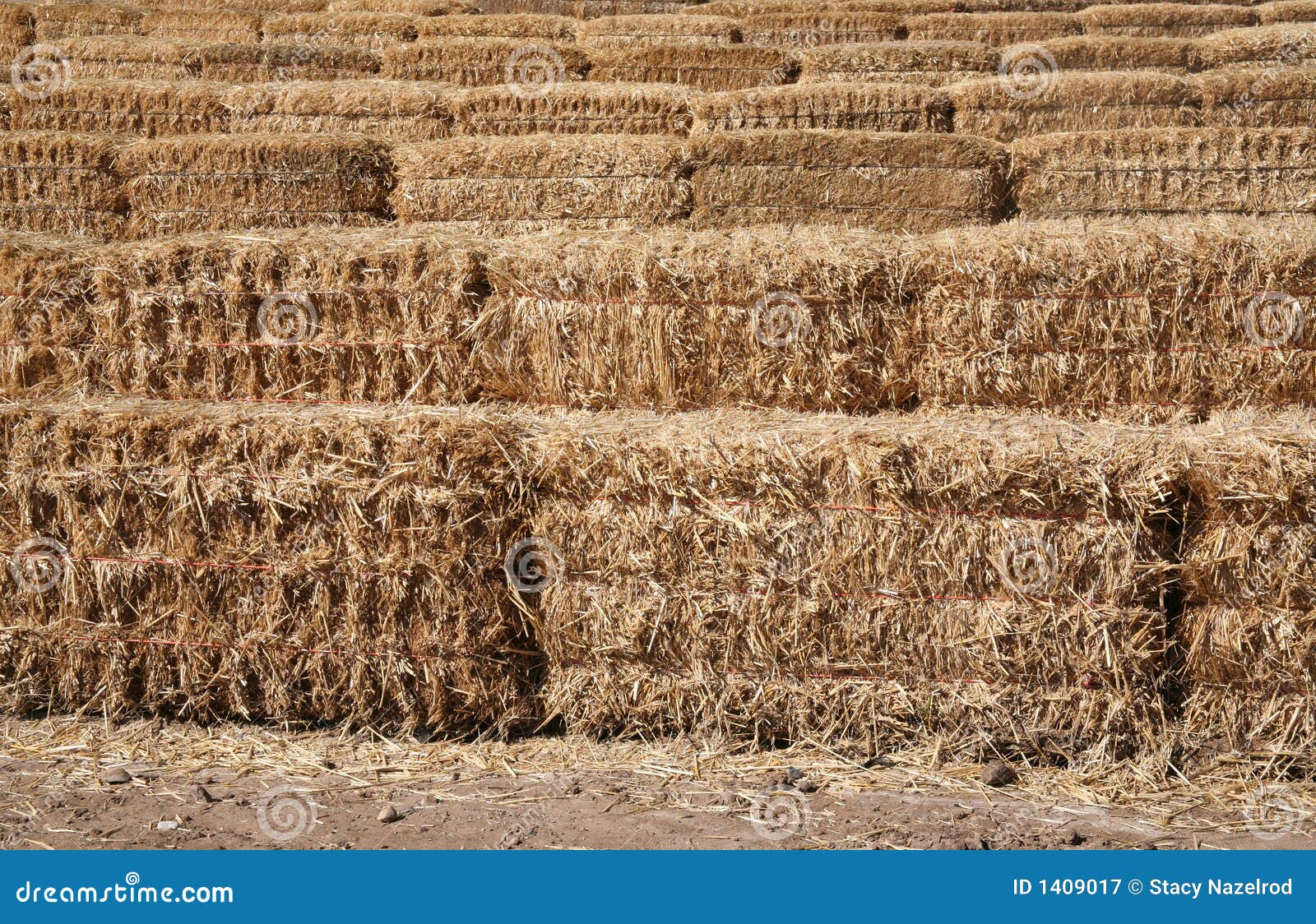 Straw bale lines stock image. Image of grain, thanksgiving - 1409017