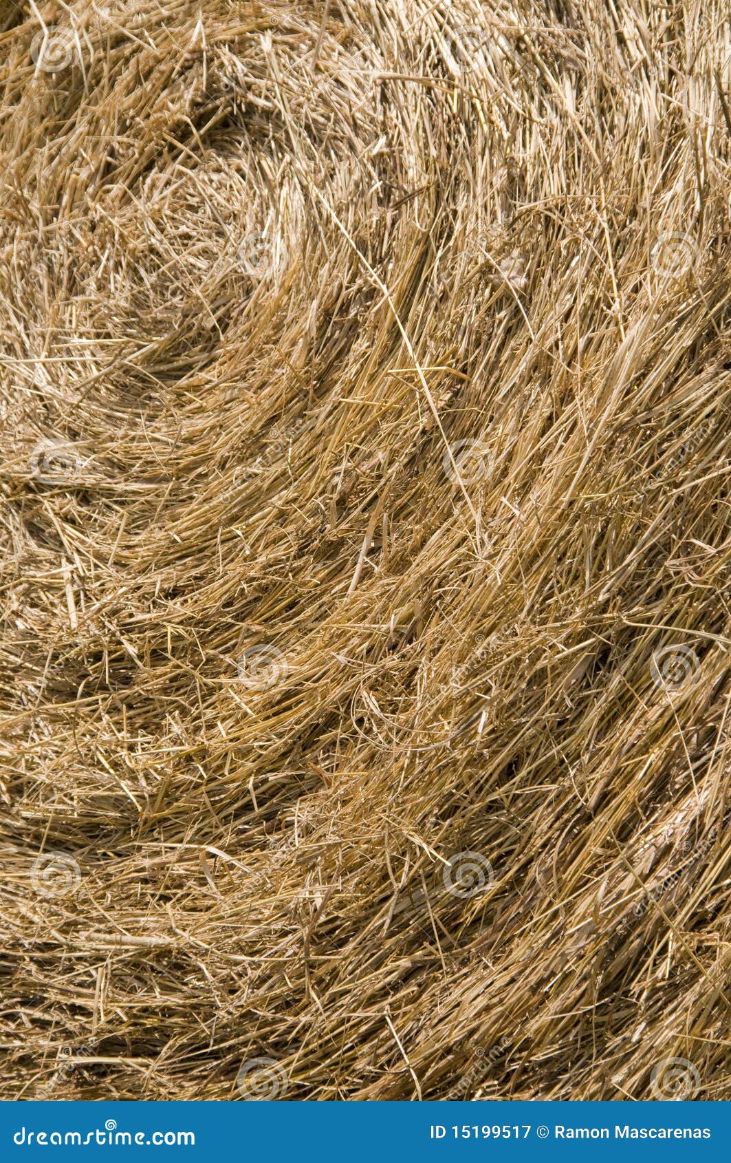 Straw Bale Texture stock image. Image of farming, farm - 15199517
