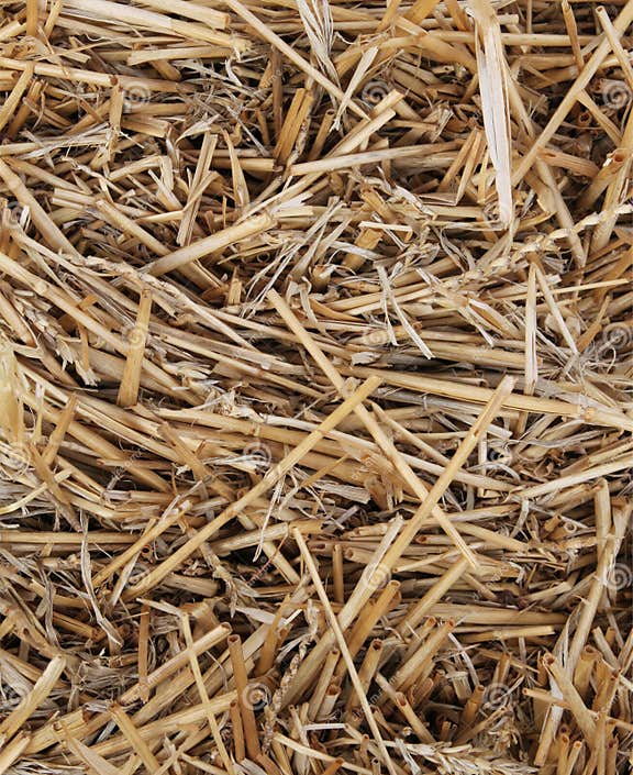 Straw Bale Texture stock image. Image of grain, bail - 25897771