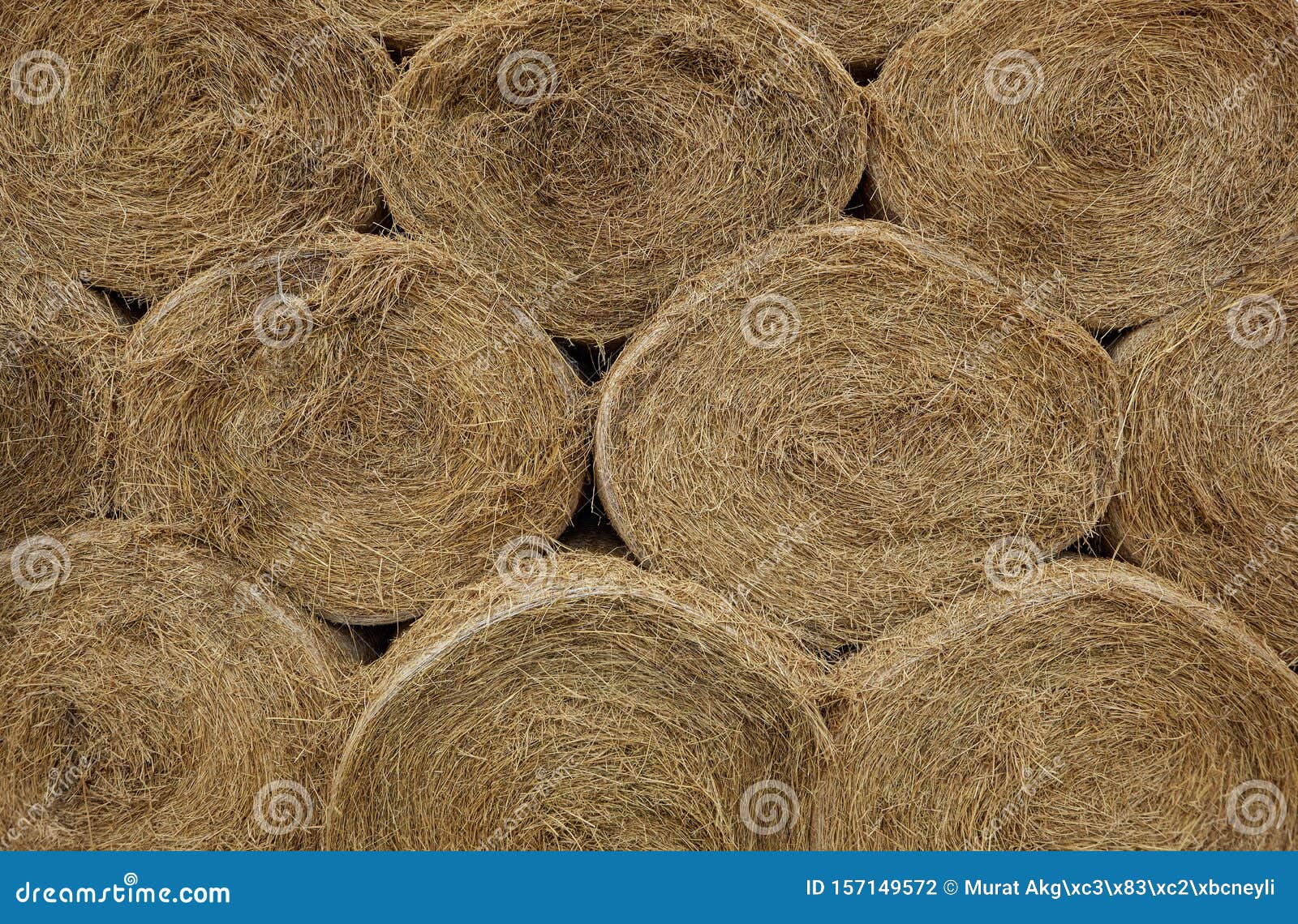 Hay Bale Texture, Dry Textured Straw Background, Golden Haystack In The ...