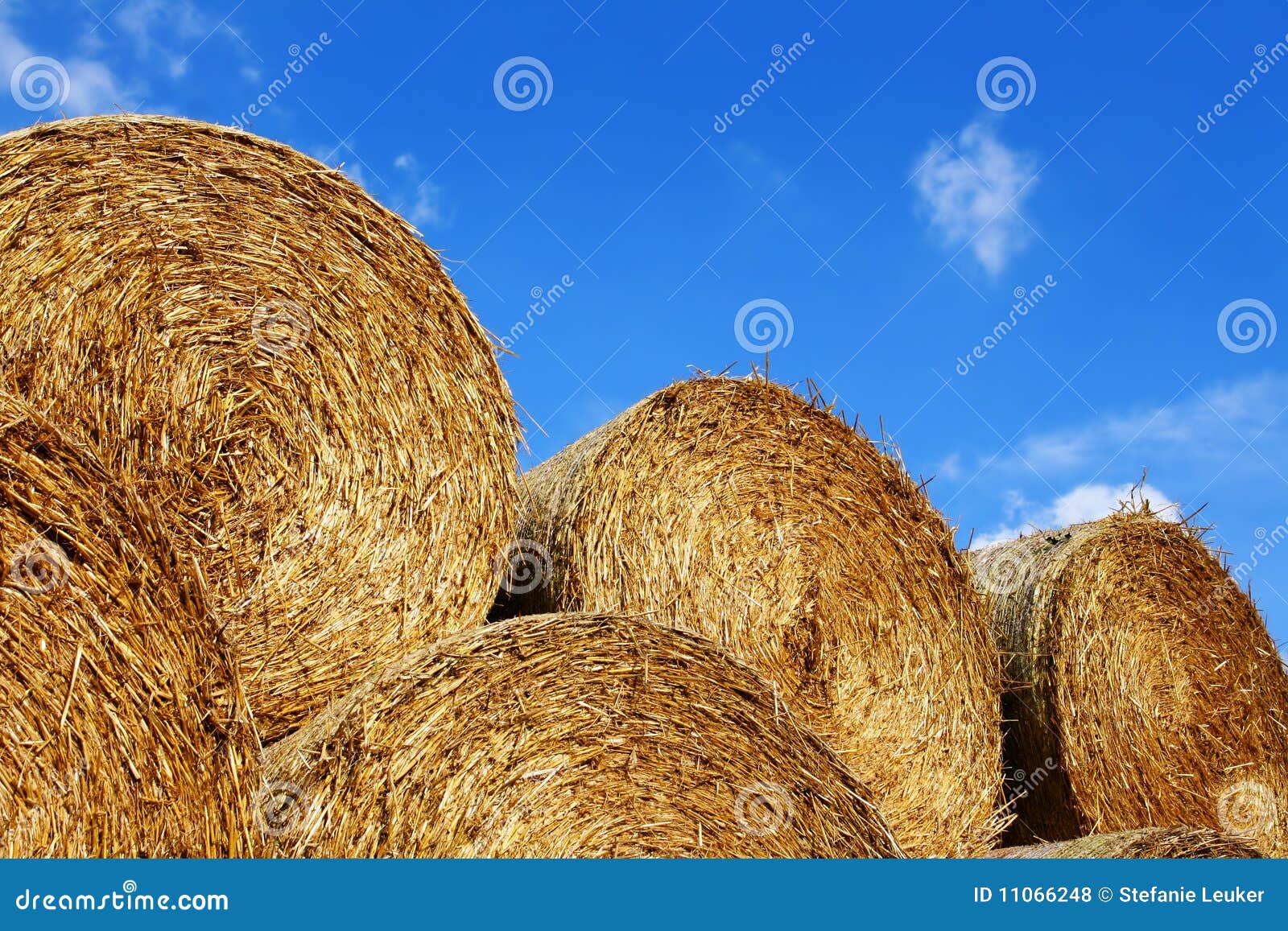 Straw bales stock photo. Image of golden, straw, summer - 11066248