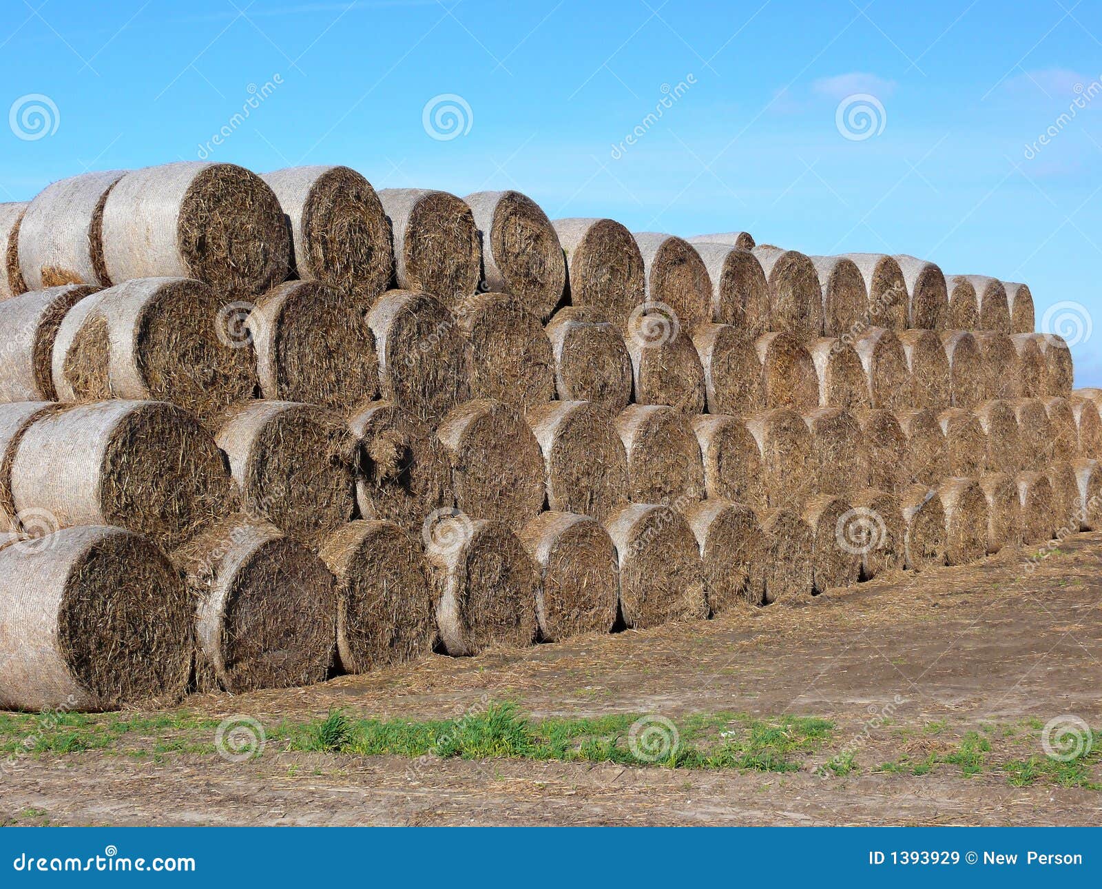 Straw bales stock image. Image of farm, blue, landscape - 1393929