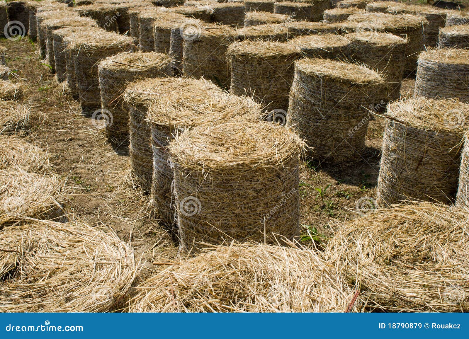 Straw bales stock image. Image of children, farming, meal - 18790879
