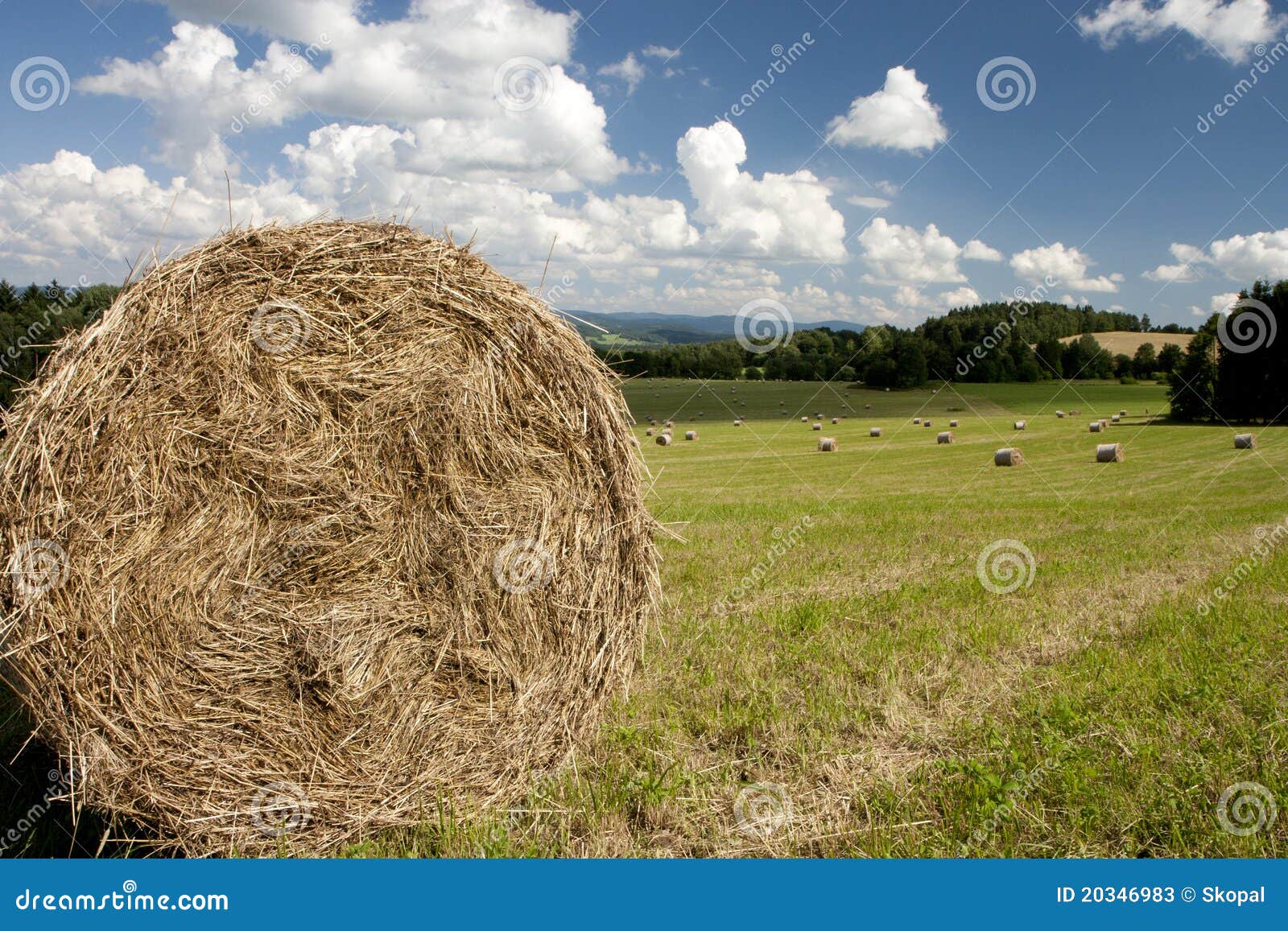 Straw bales stock image. Image of rural, landscape, grass - 20346983