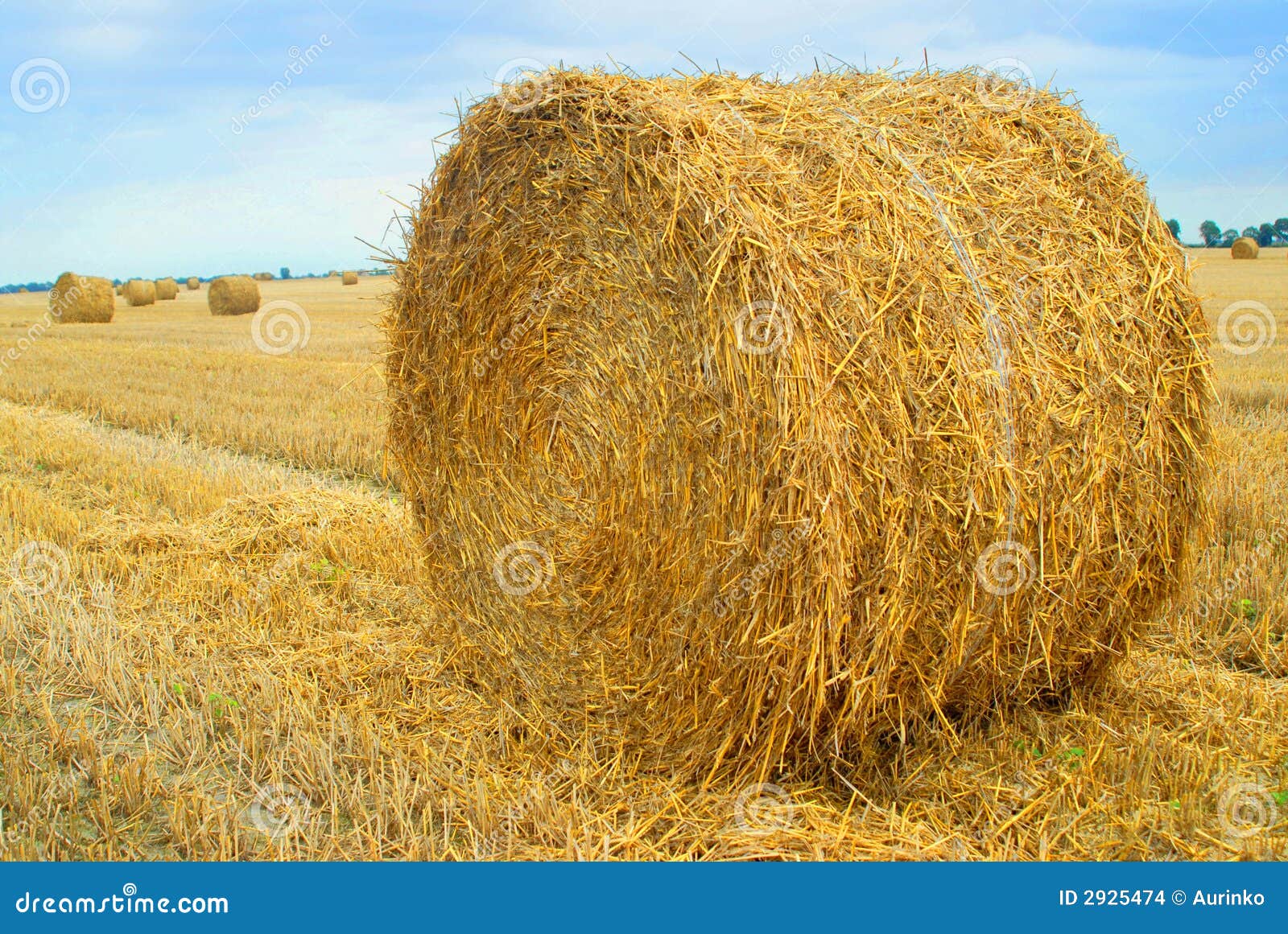 Straw bales stock photo. Image of gold, innovation, ground - 2925474