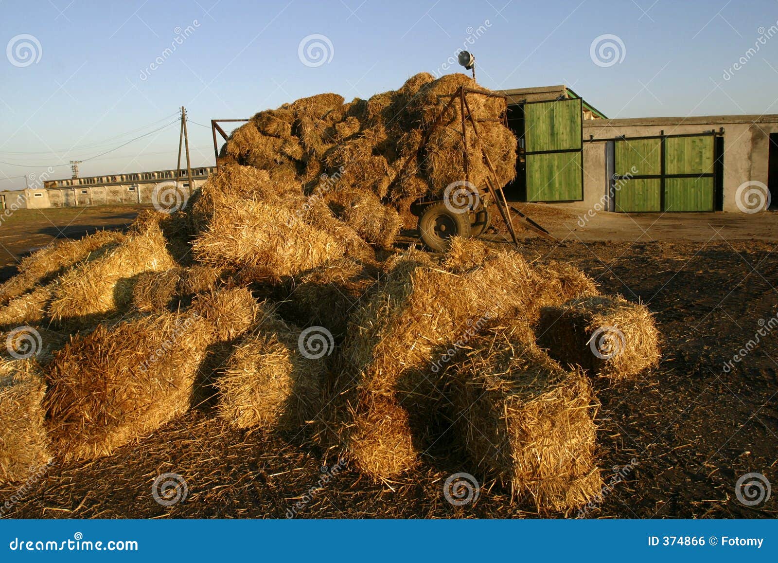 Straw bales stock photo. Image of healthy, pile, grow, concept - 374866
