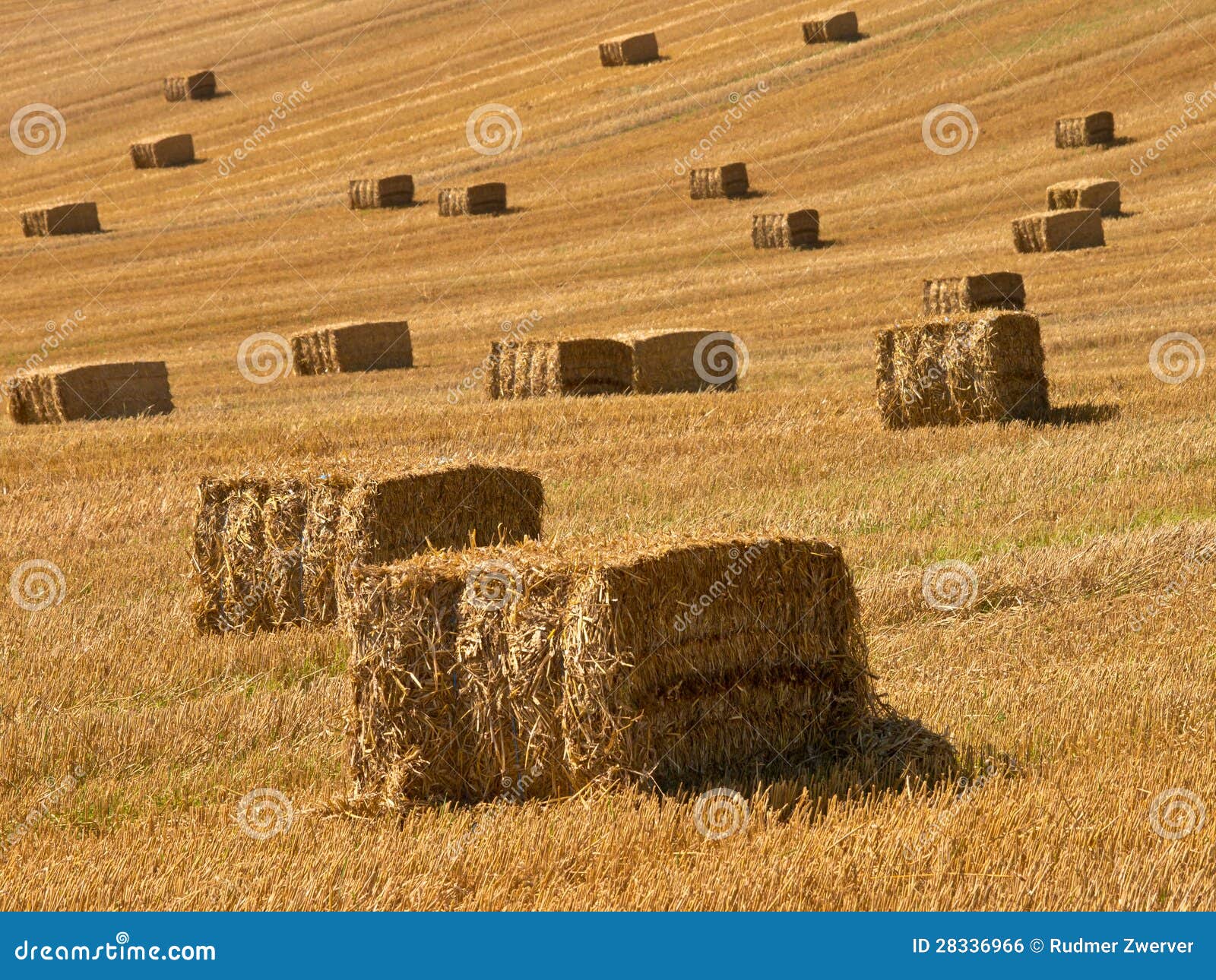 Straw bales background stock photo. Image of grain, corn - 28336966