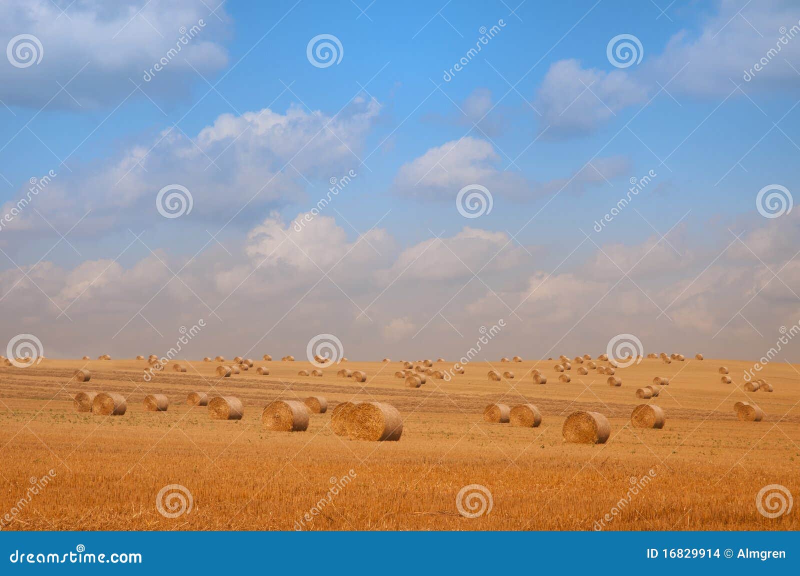 Straw Bales on Endless Farmland Stock Photo - Image of natural, grain ...