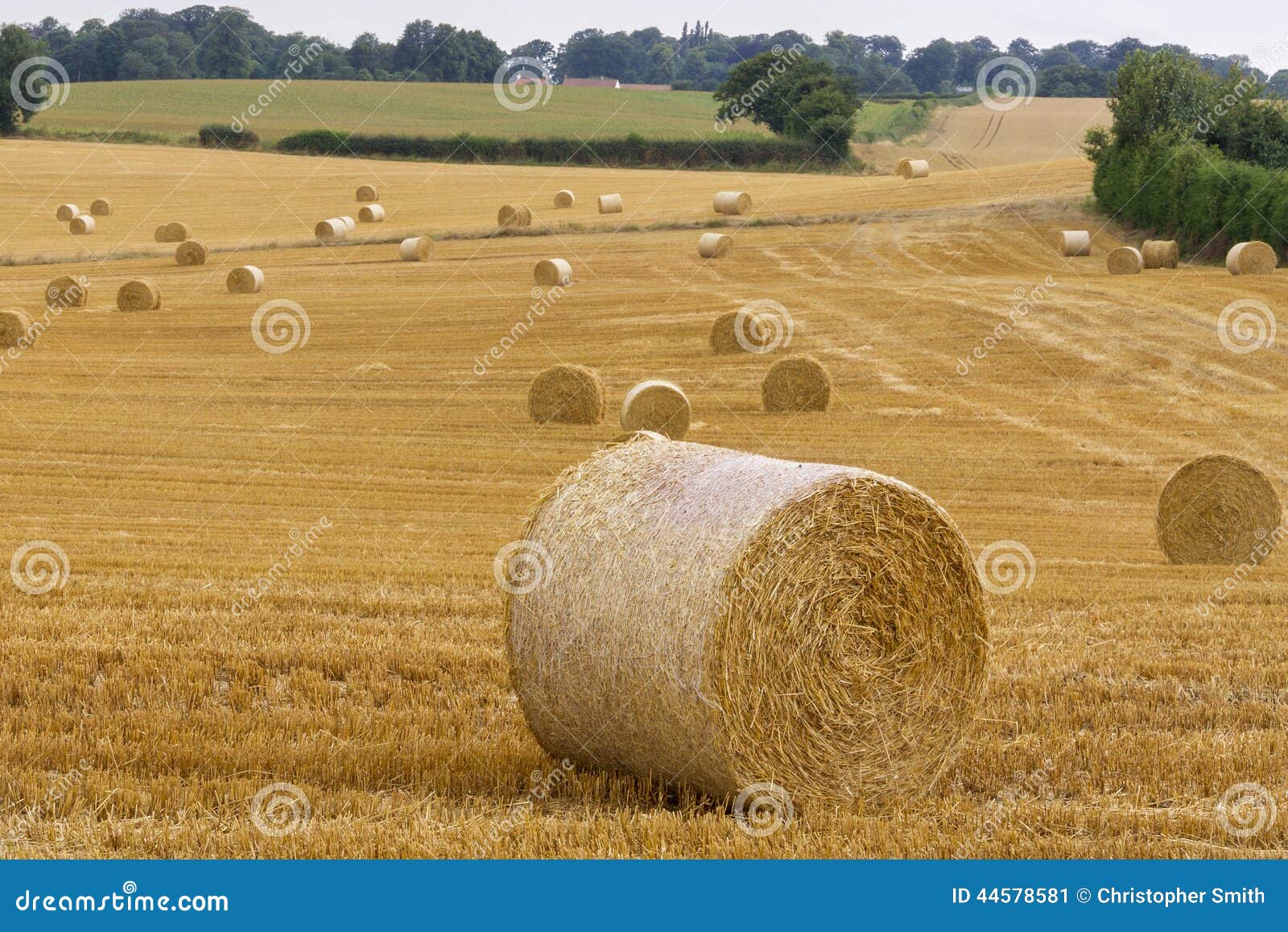 Straw bales stock image. Image of farm, natural, nutrition - 44578581
