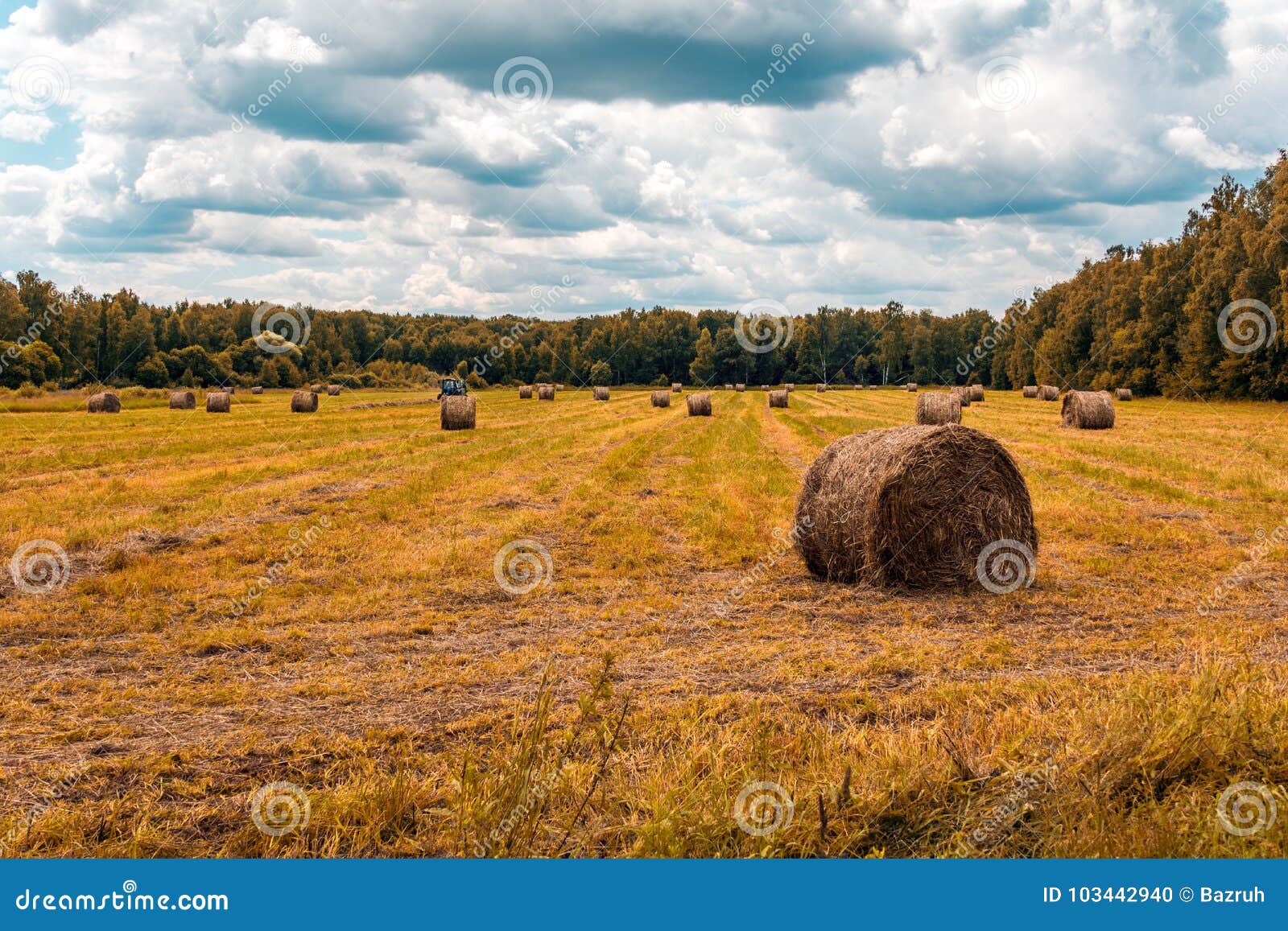 Straw Bales on the Field, Hay Making Stock Photo - Image of harvest ...