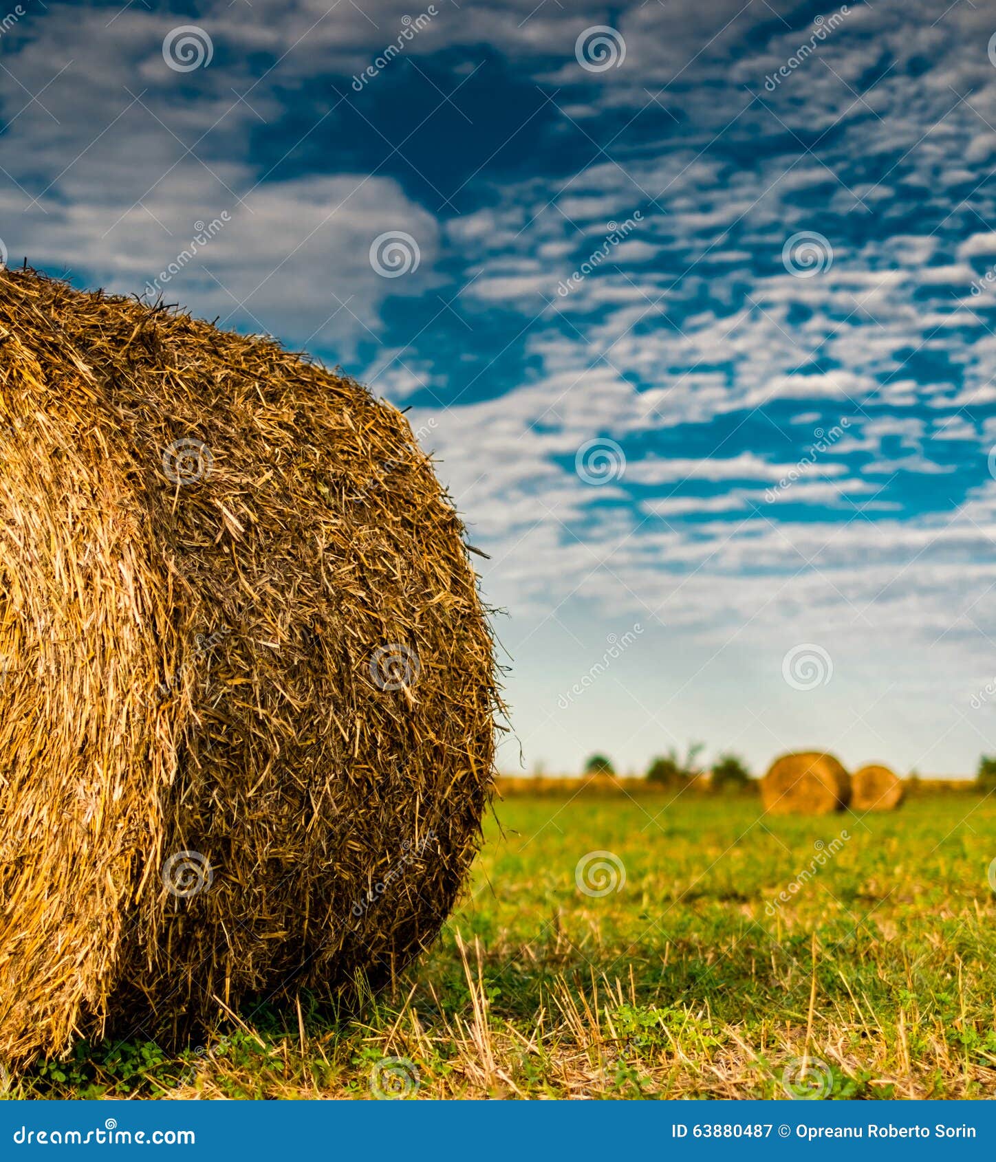 Straw bales stock image. Image of close, straw, outdoor - 63880487