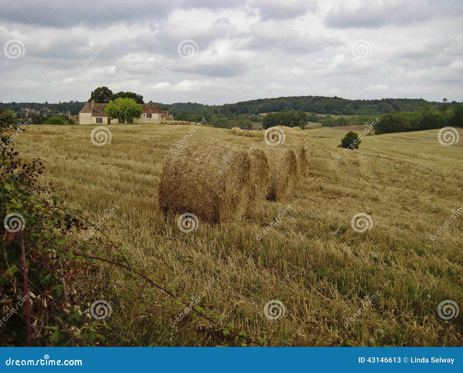 Straw bales in a line stock image. Image of france, picking - 43146613