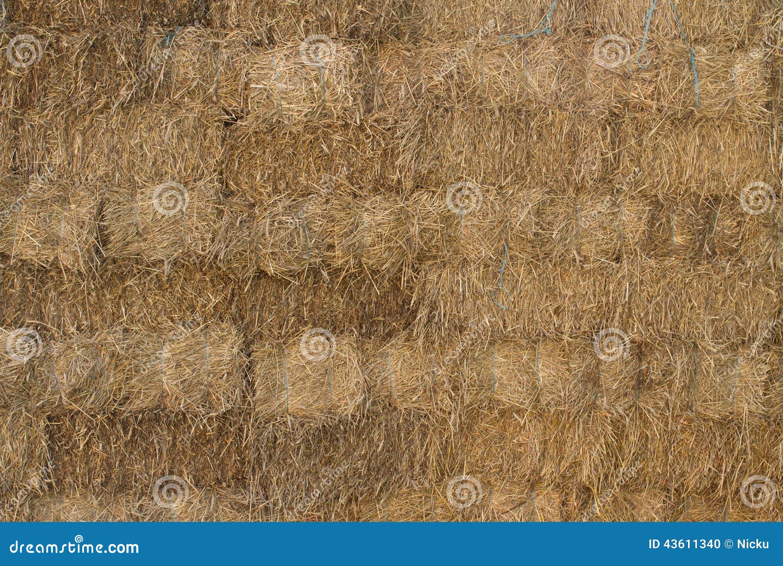 Straw bales stock photo. Image of haystack, color, bale - 43611340