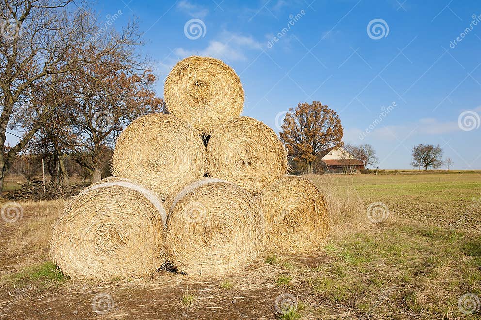 Straw bales pyramid stock image. Image of landscape, bale - 28565957