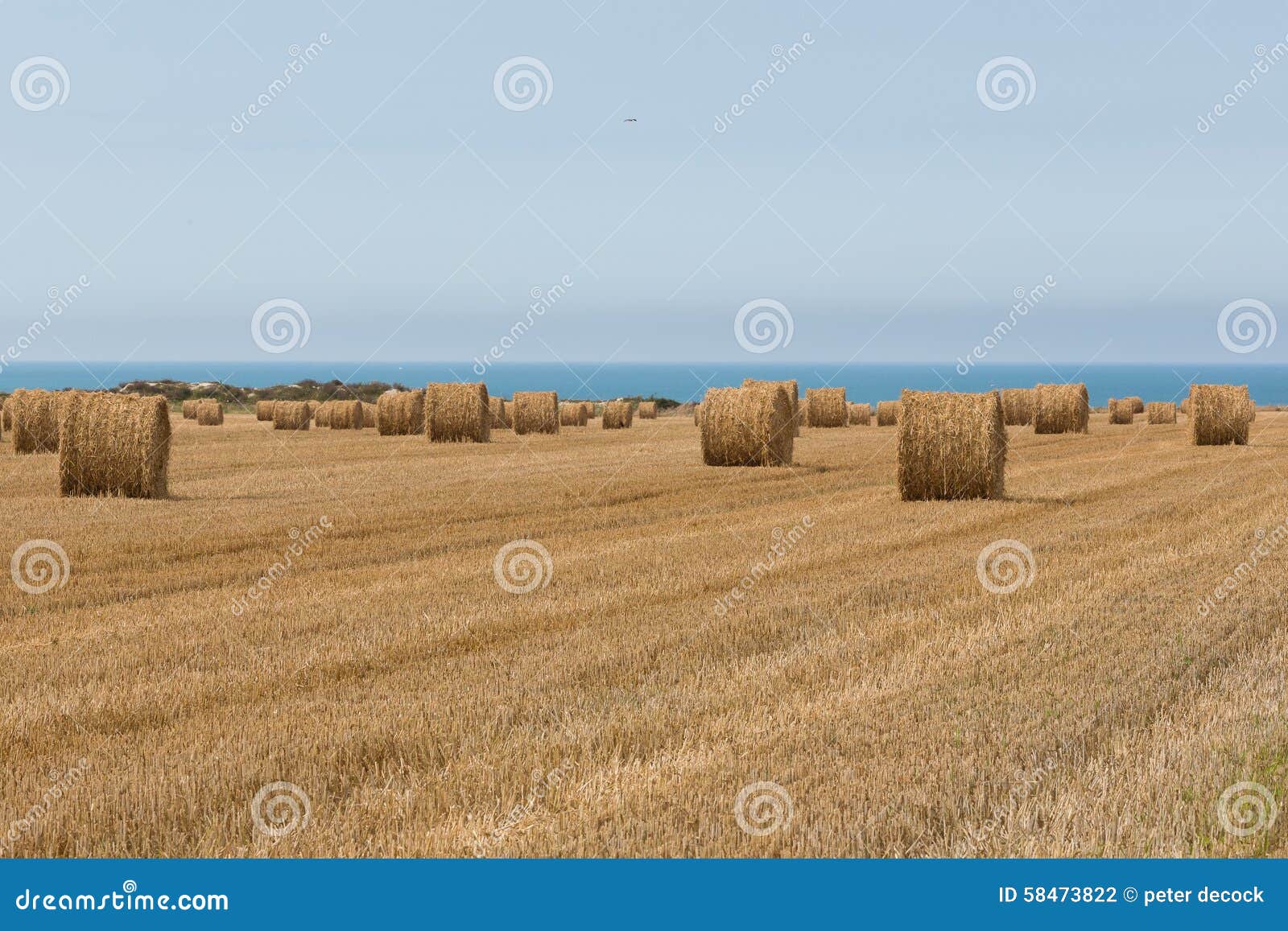 Straw bales at the sea stock photo. Image of bale, straw - 58473822