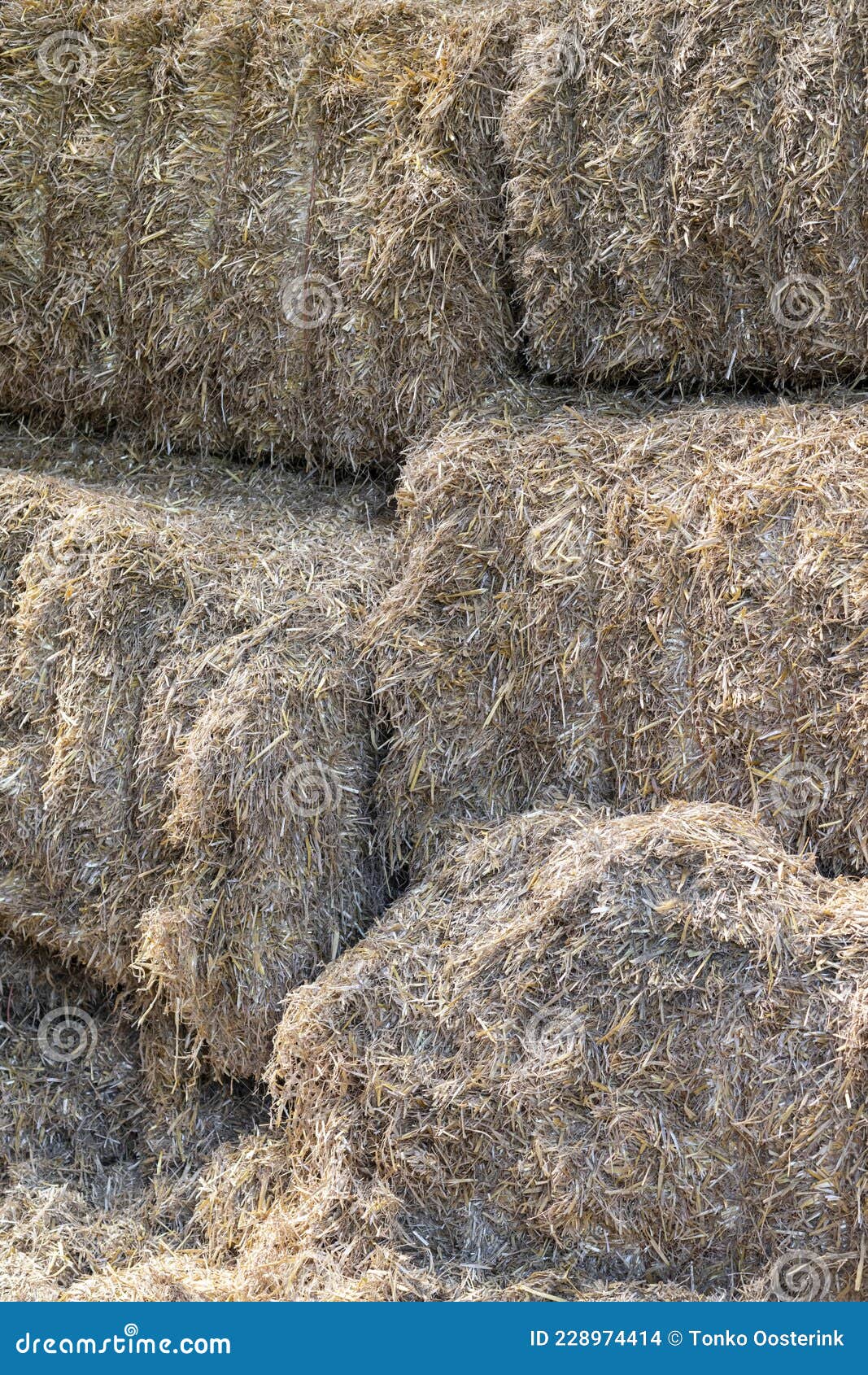Straw Bales Stacked in a Barn Stock Photo - Image of block, bale: 228974414