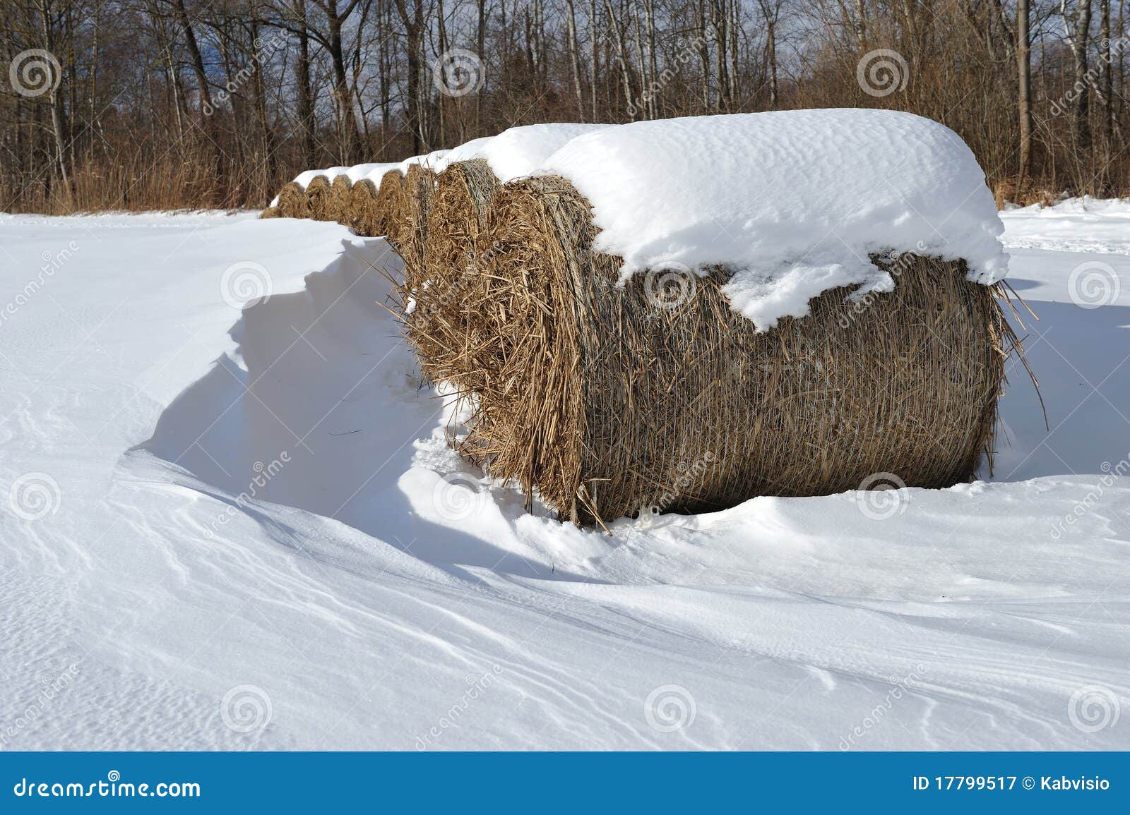 Straw bales in winter stock image. Image of famr, farmer - 17799517