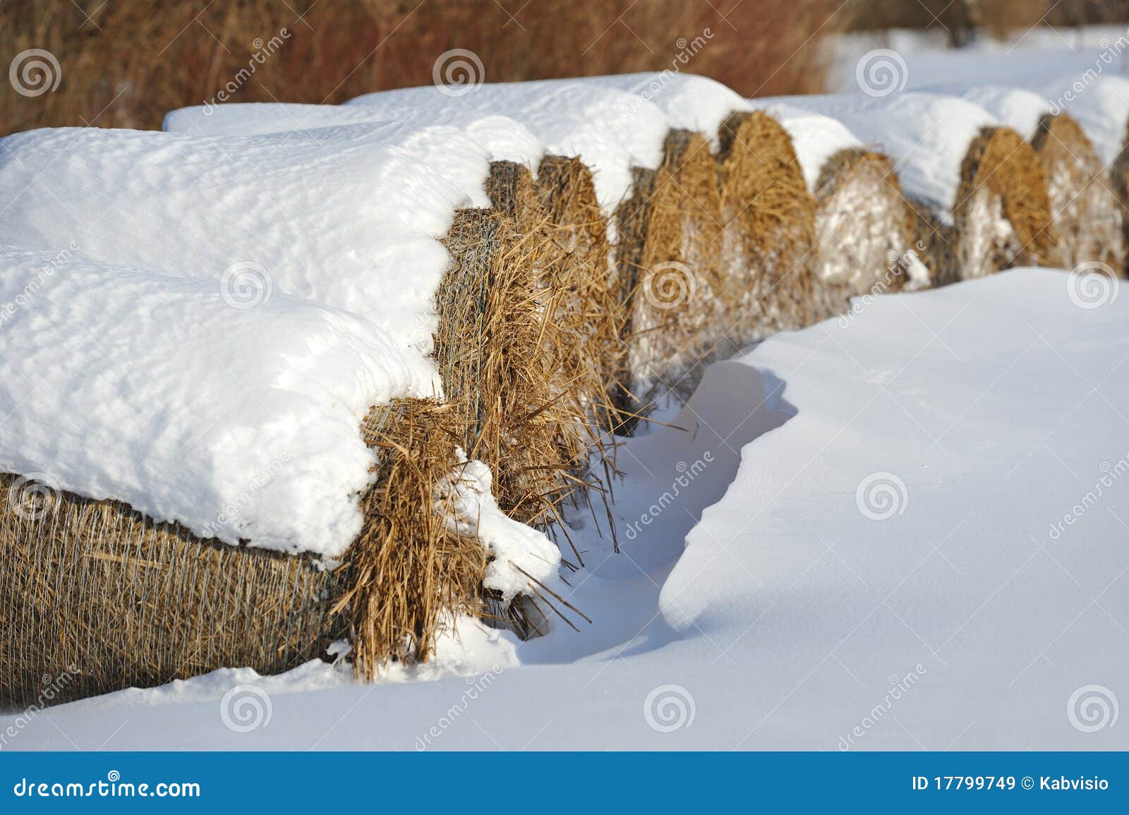 Straw bales in winter stock image. Image of covered, bales - 17799749