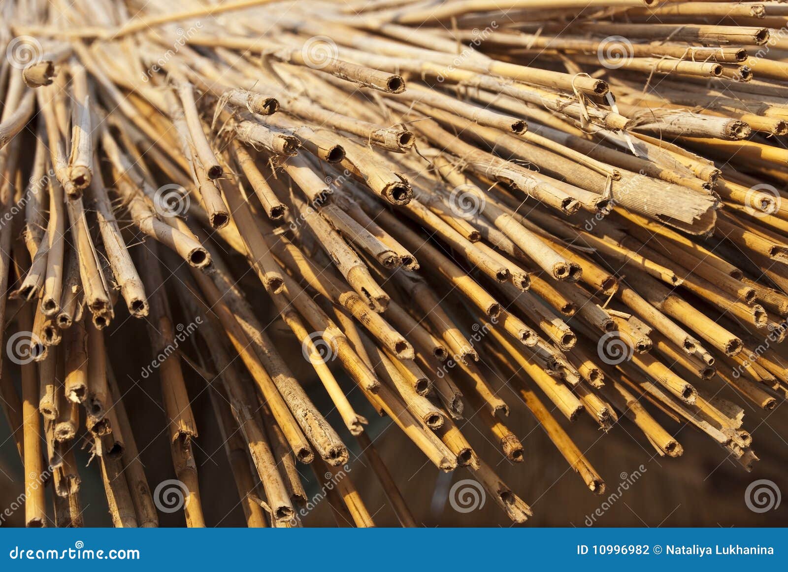Straw and bamboo bunch stock photo. Image of ethnicity - 10996982