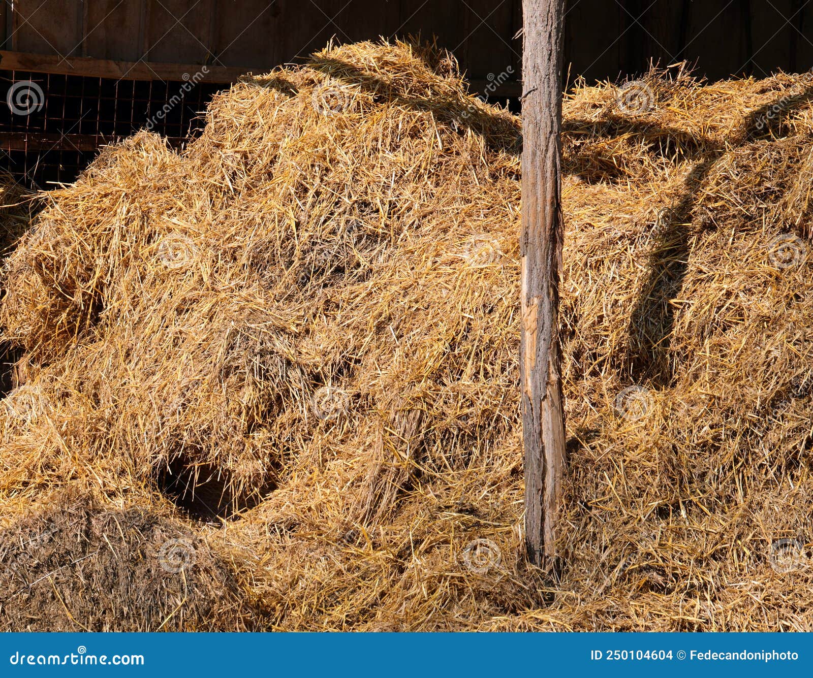 Straw in a Barn Which is Used To Feed the Livestock Stock Photo - Image ...