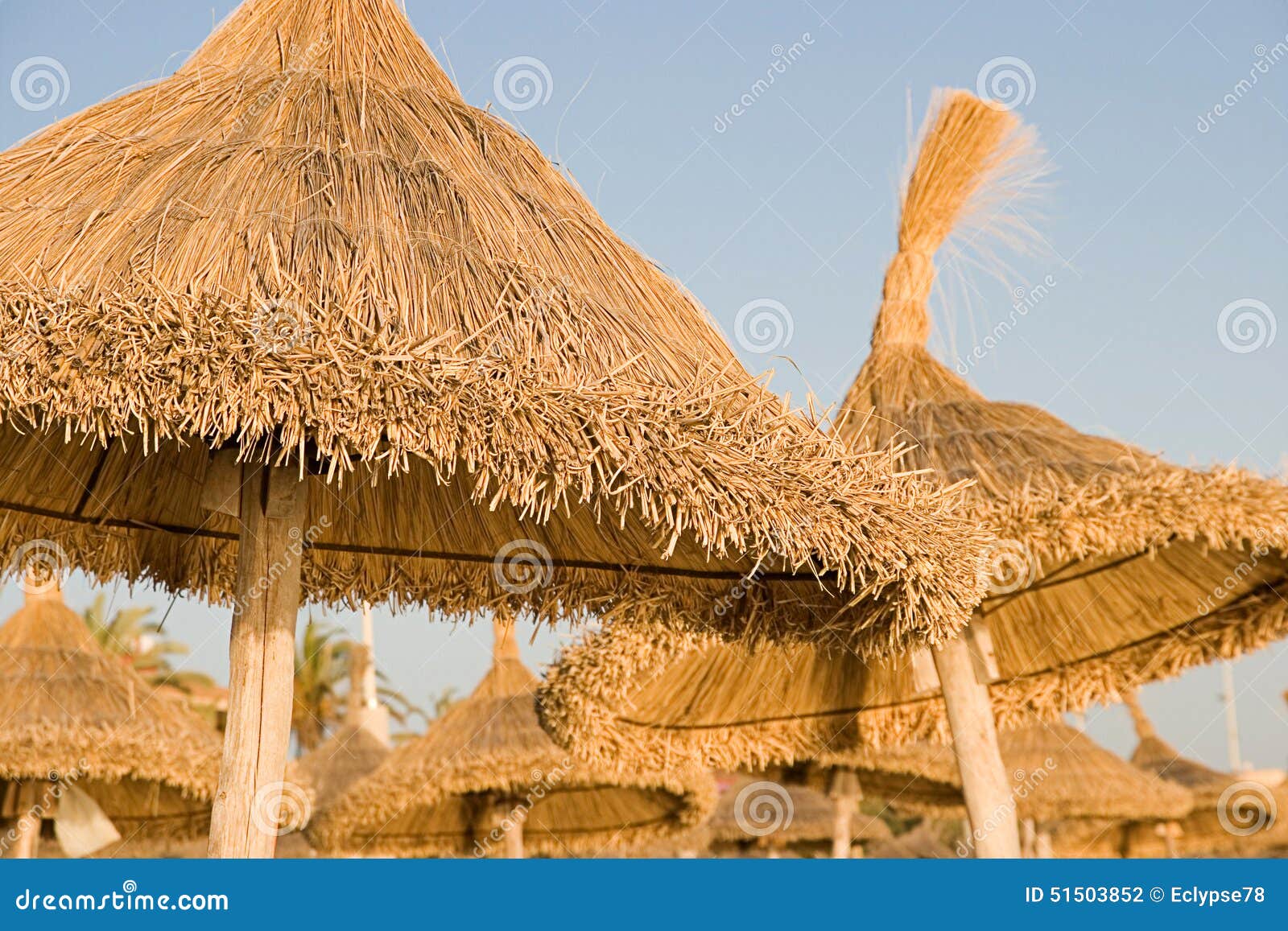 Straw beach umbrellas stock photo. Image of paradise - 51503852