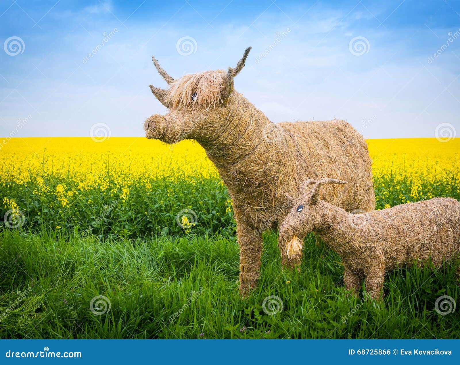 2,290 Bull Goat Photos - Free & Royalty-Free Stock Photos from Dreamstime