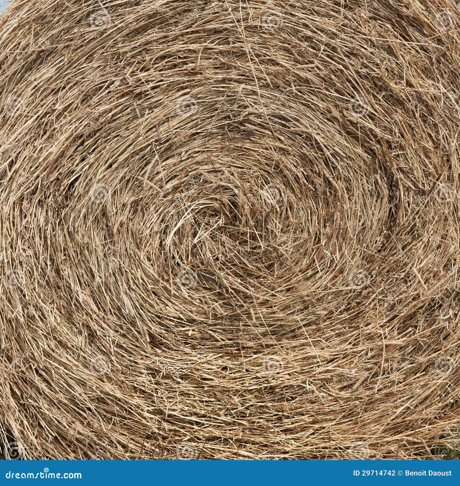 Straw bundle texture stock photo. Image of nature, bundle - 29714742