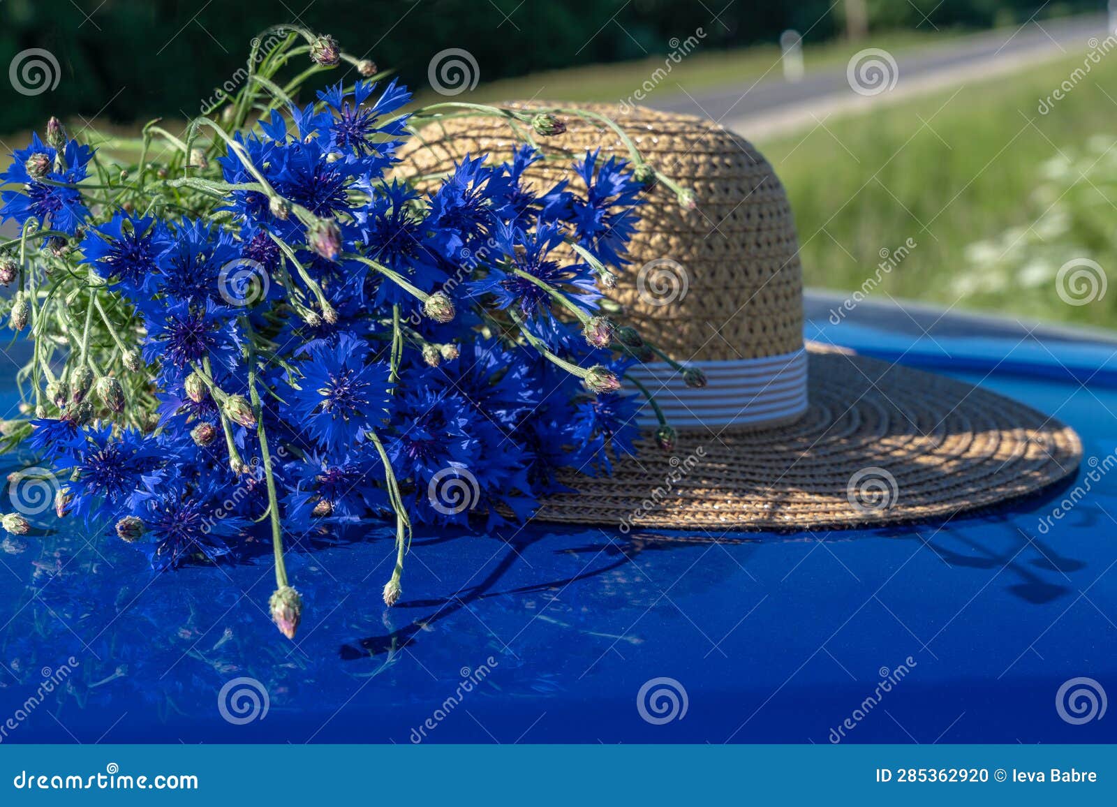A Straw Cap with Rye Flowers on a Blue Background Stock Photo - Image ...