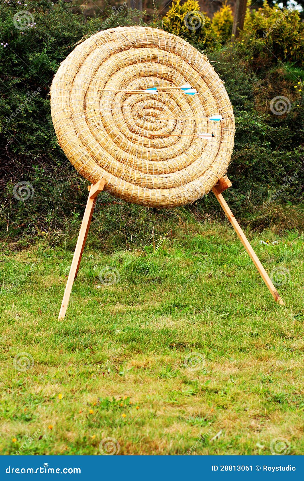 Straw Circle Archery Target with Arrows in it Stock Image - Image of ... Straw Circle Archery Target with Arrows in it Stock Image - Image of ...