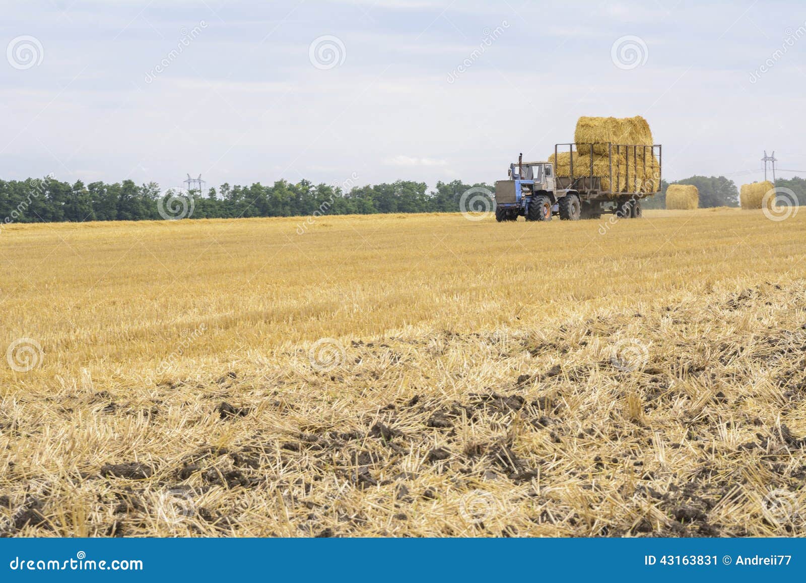 Straw stock image. Image of landscapes, industry, horizon - 43163831