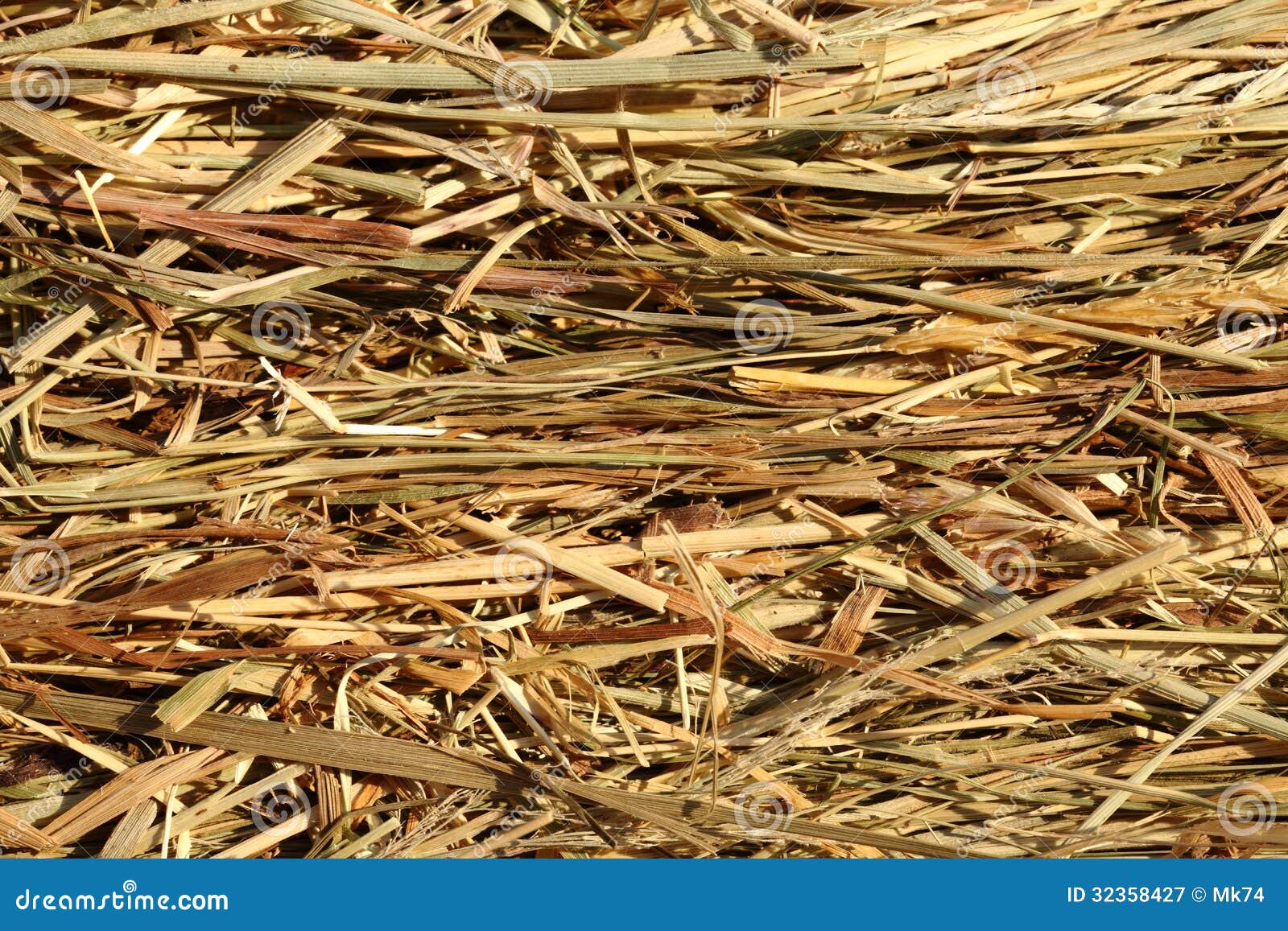 Straw stock image. Image of closeup, plant, nature, frame - 32358427