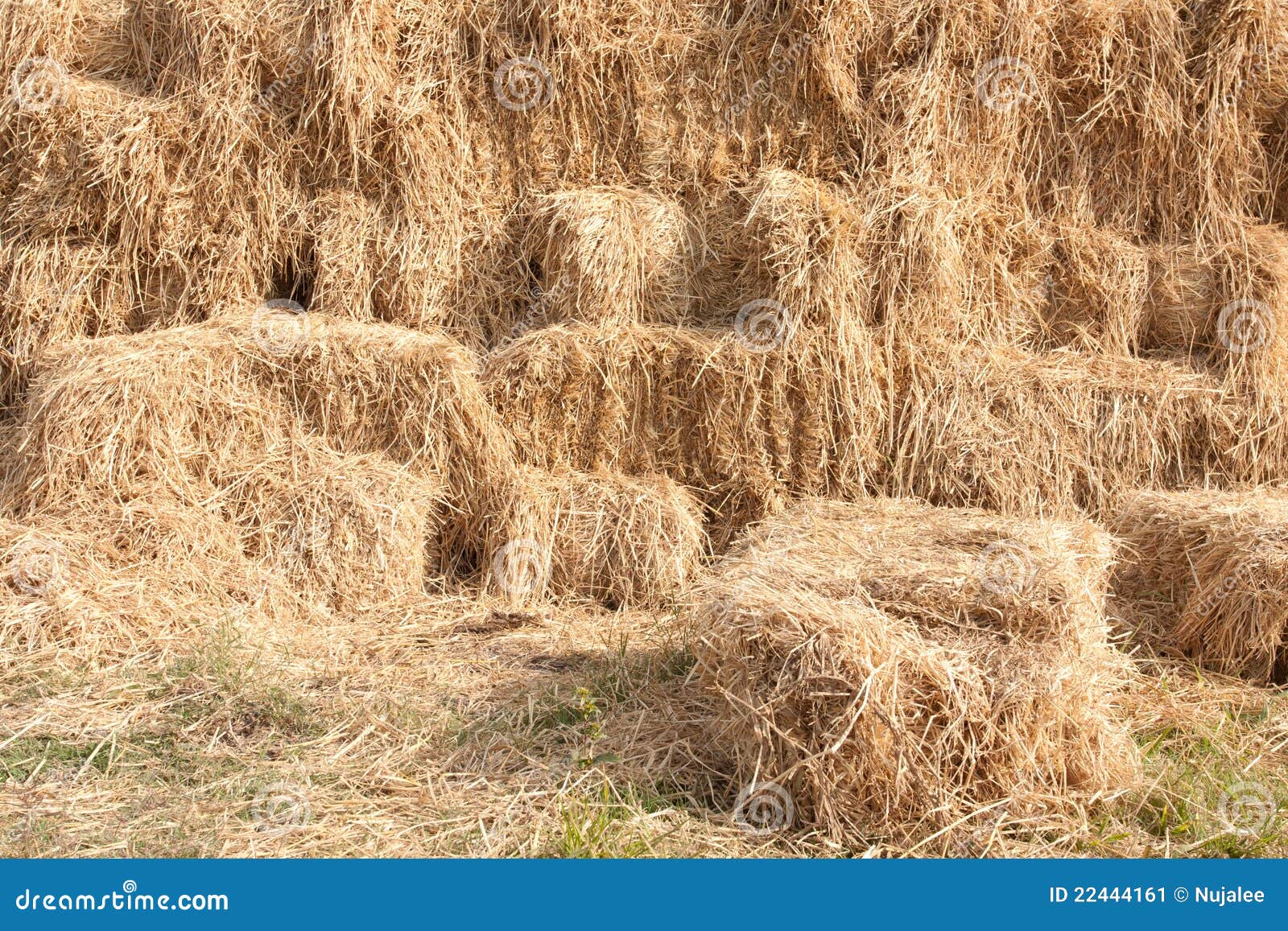 Straw in countryside stock image. Image of corn, stem - 22444161