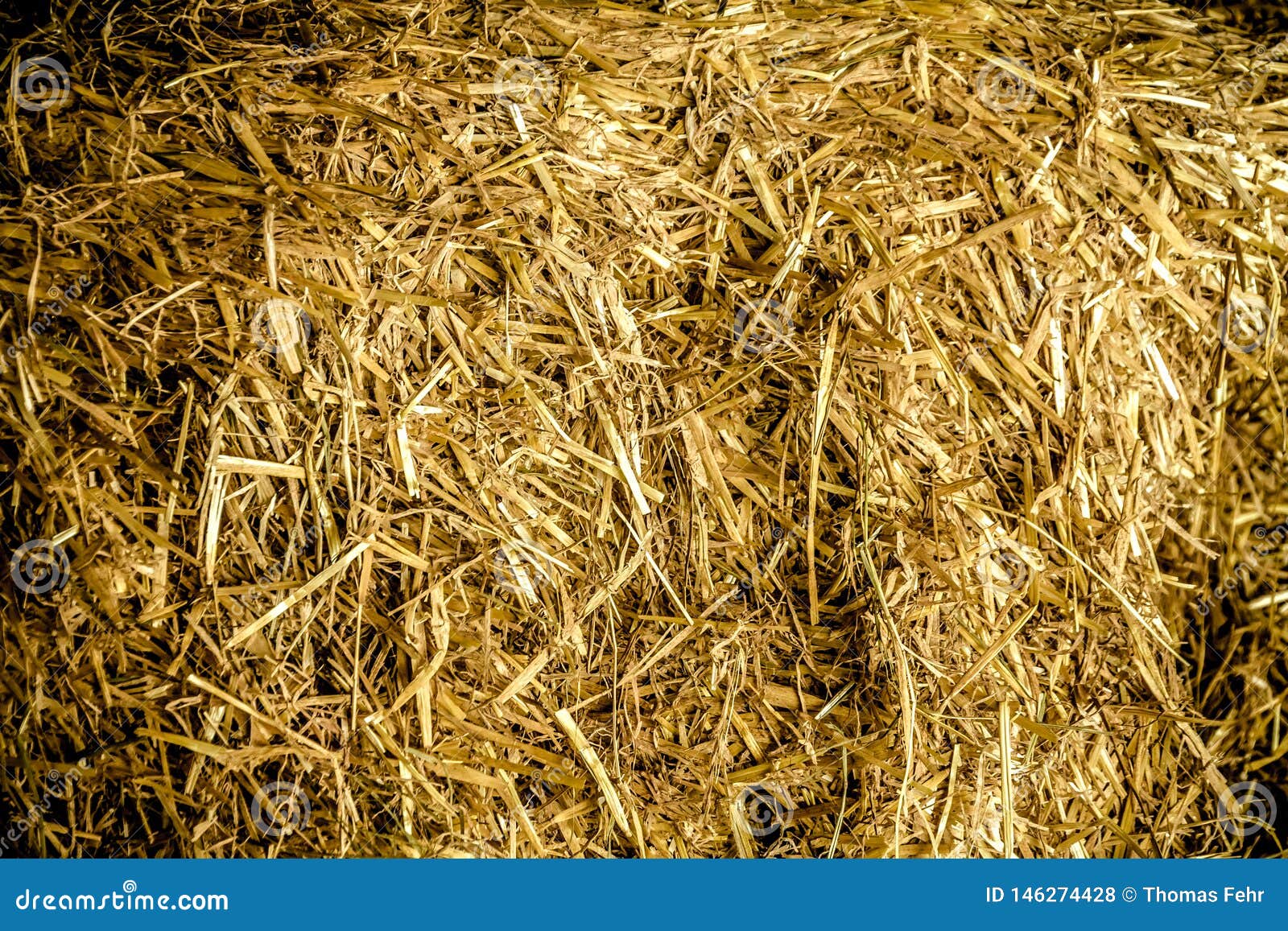 Straw in a farm stock photo. Image of grass, crop, agriculture - 146274428