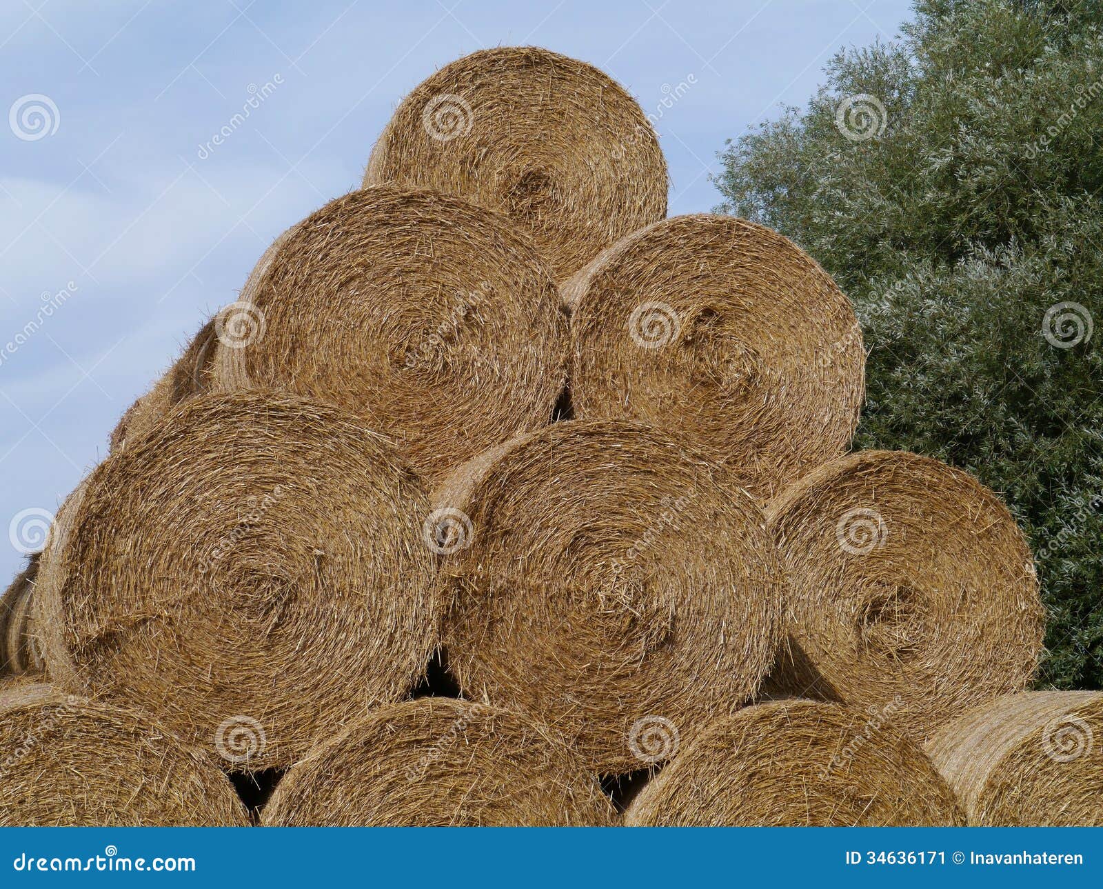 Straw at the countryside stock image. Image of baltic - 34636171