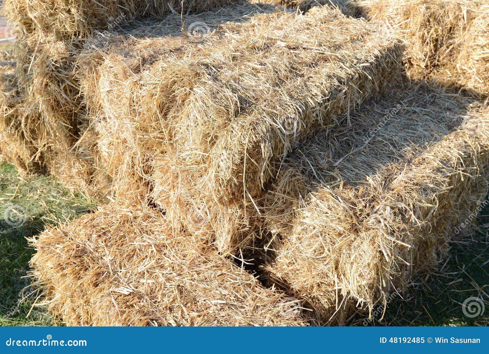 Straw For The Cows Royalty-Free Stock Photo | CartoonDealer.com #85163007