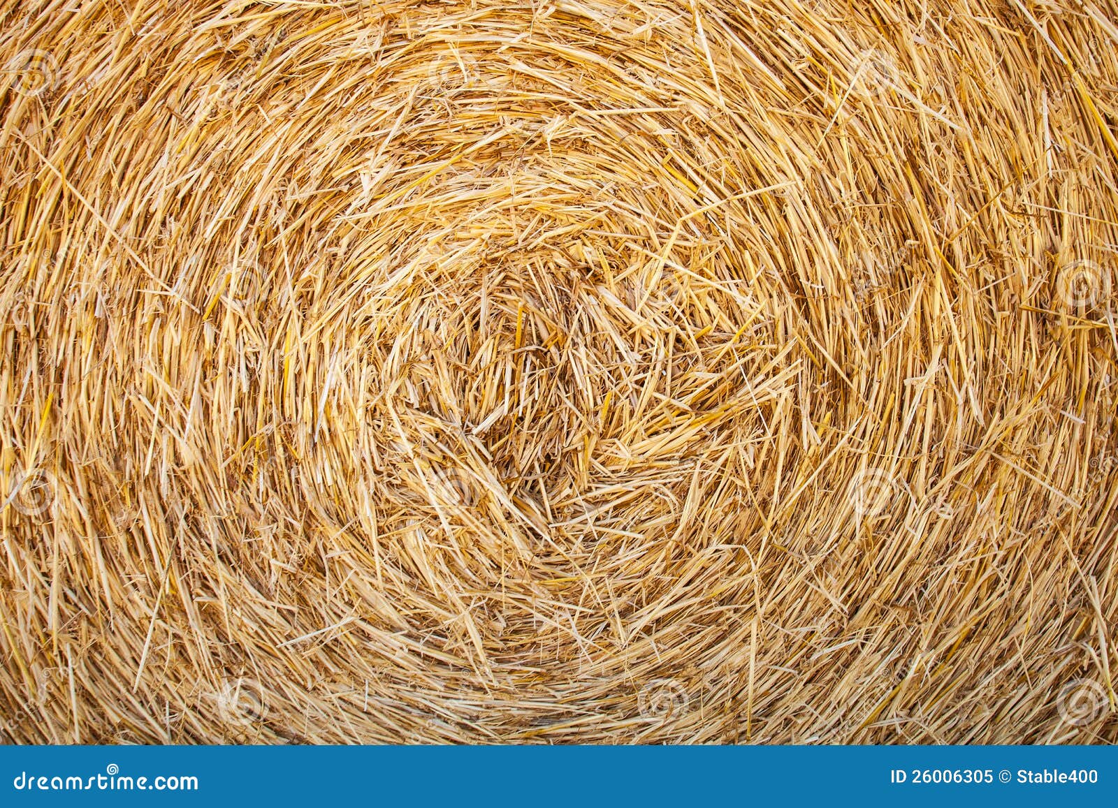 Straw crop stock image. Image of farm, farming, crop - 26006305