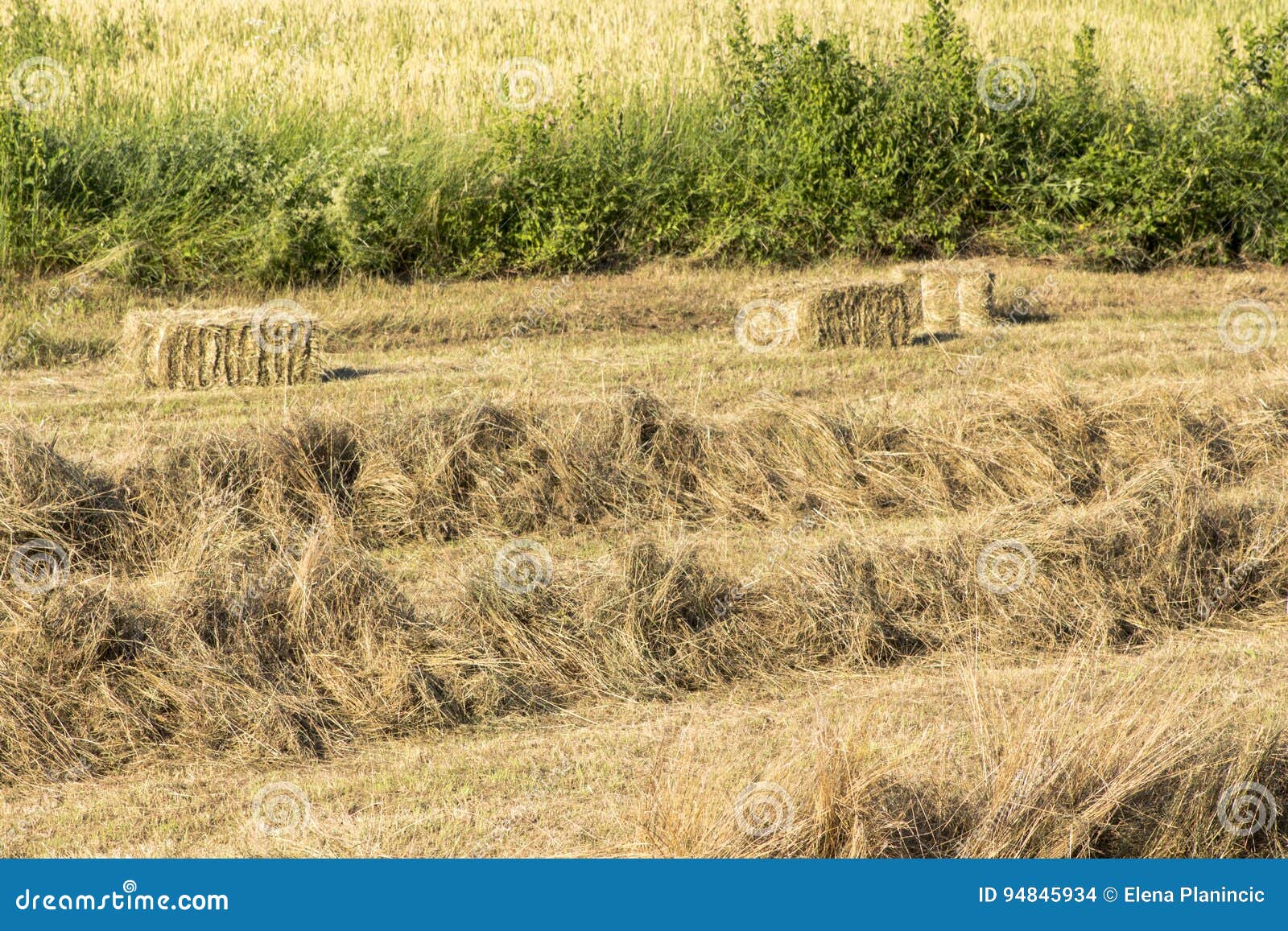 Straw cube stock photo. Image of cultivation, nature - 94845934