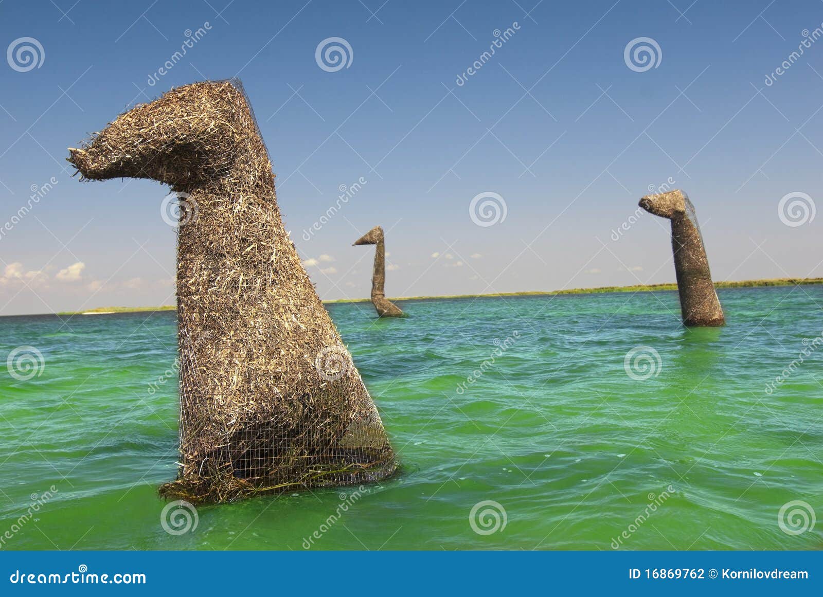 Straw Dinosaurs Wade through Shallow Water Stock Photo - Image of grand ...