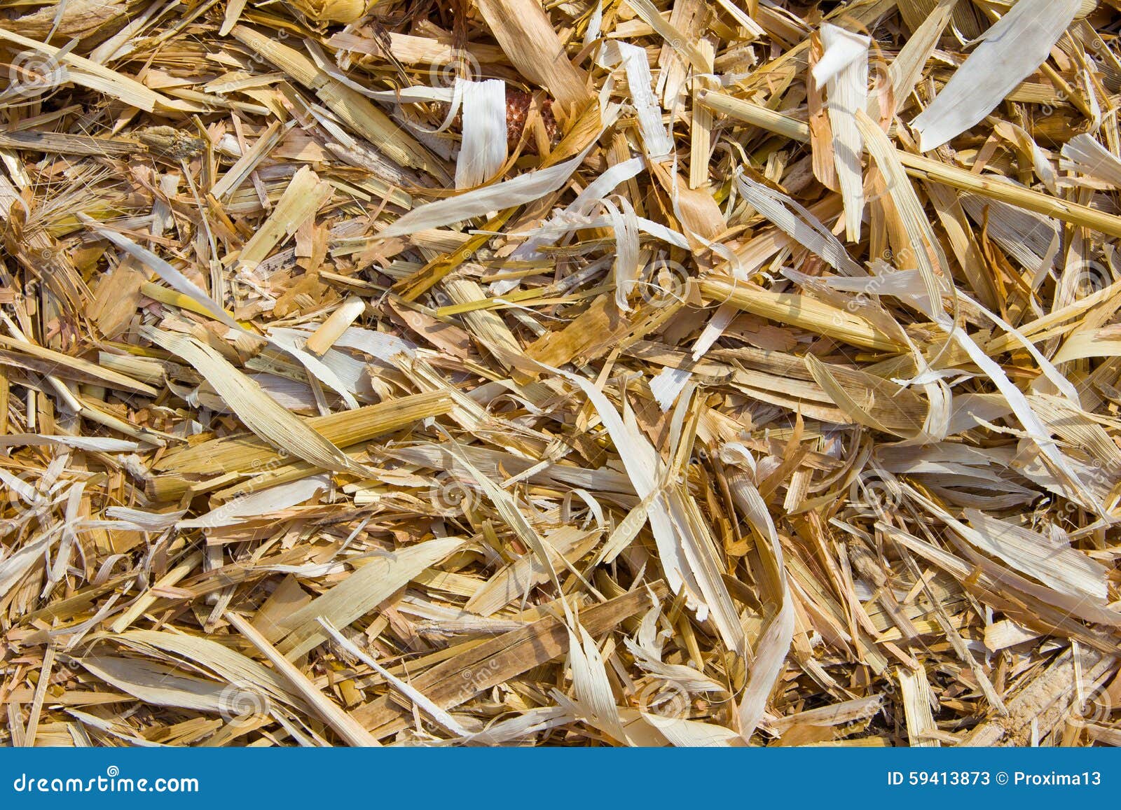Straw, Dried Corn Leaves Background Stock Image - Image of golden ...
