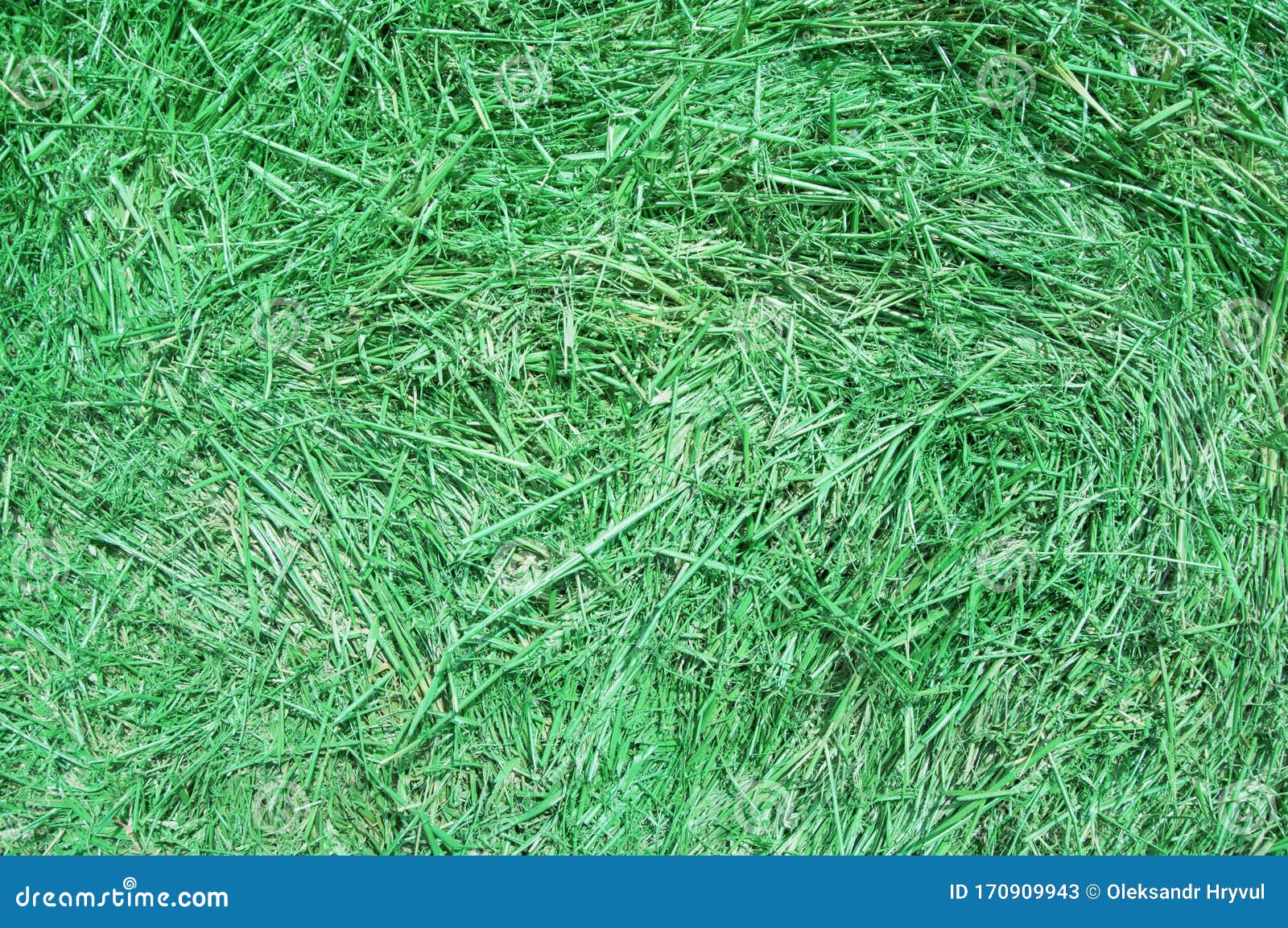 Straw, Dry Green Straw Texture Background for Design Stock Image ...