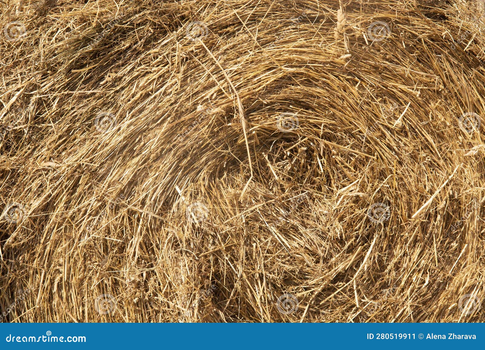 Straw, Dry Straw Texture Background, Vintage Style for Design Stock ...