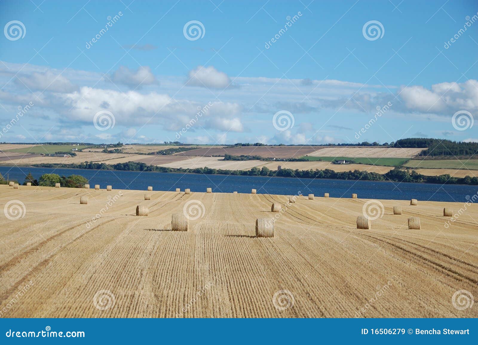 Straw and farm stock image. Image of agriculture, barley - 16506279
