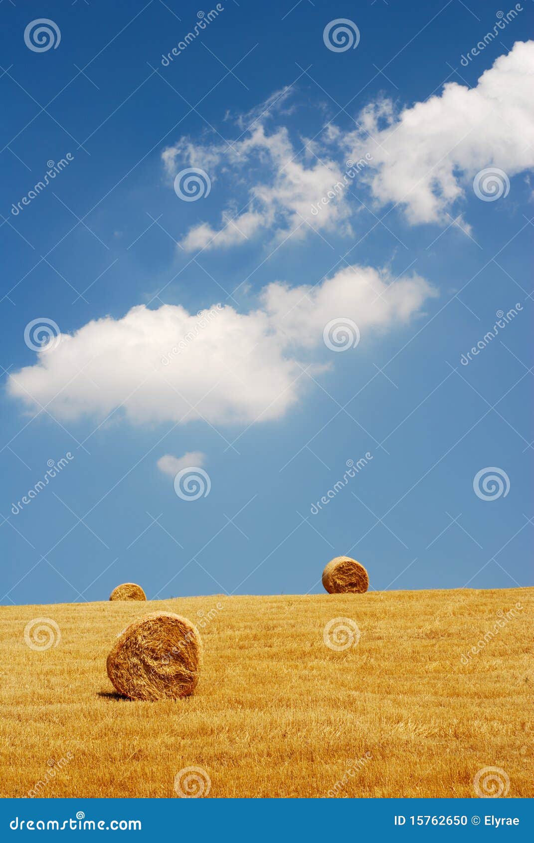 Straw field stock photo. Image of meadow, details, bale - 15762650