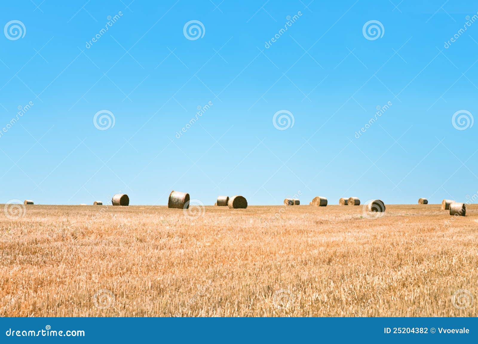 Straw field stock photo. Image of haulm, plant, agriculture - 25204382