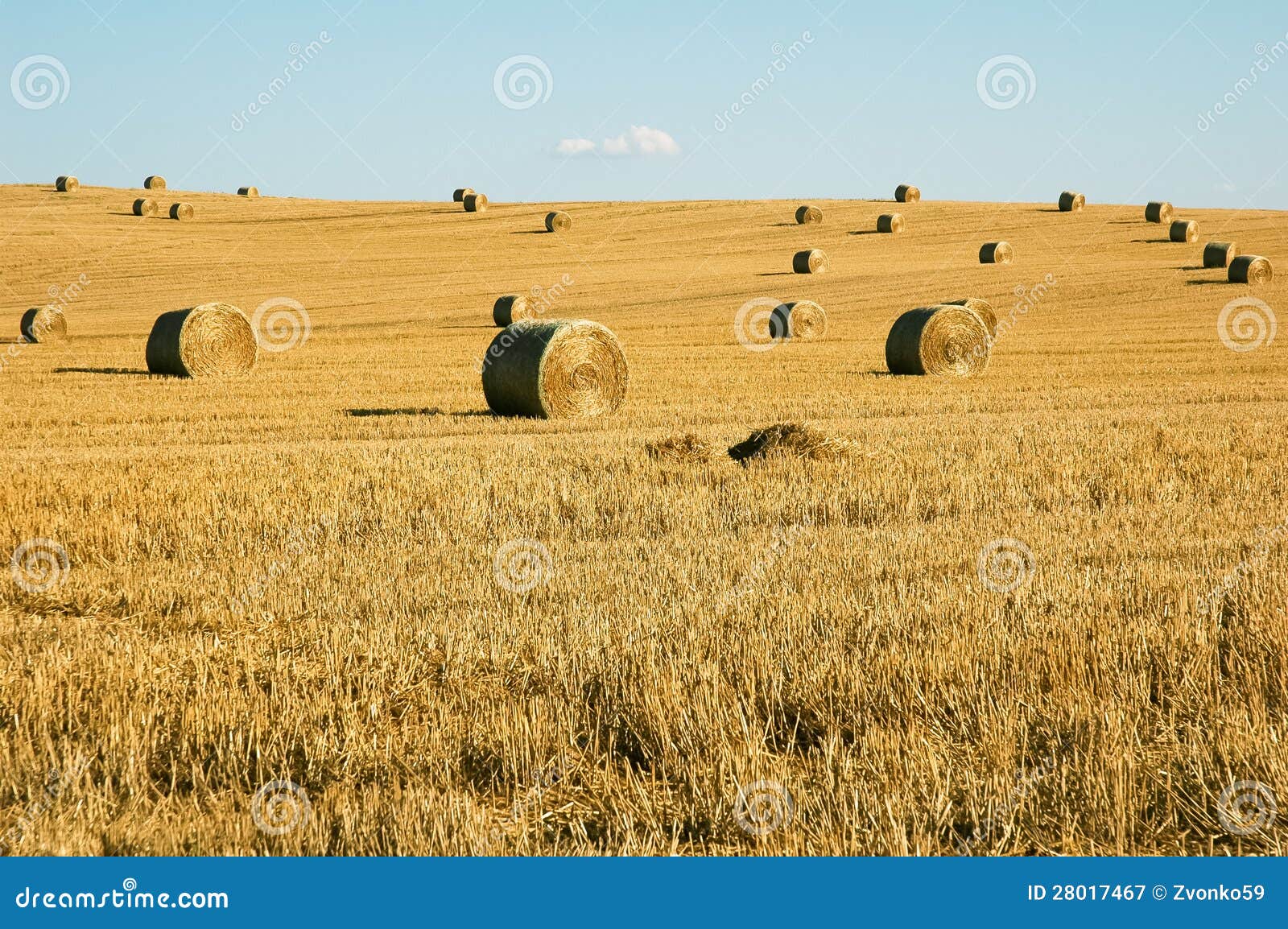 Straw field stock image. Image of organic, blue, rural - 28017467