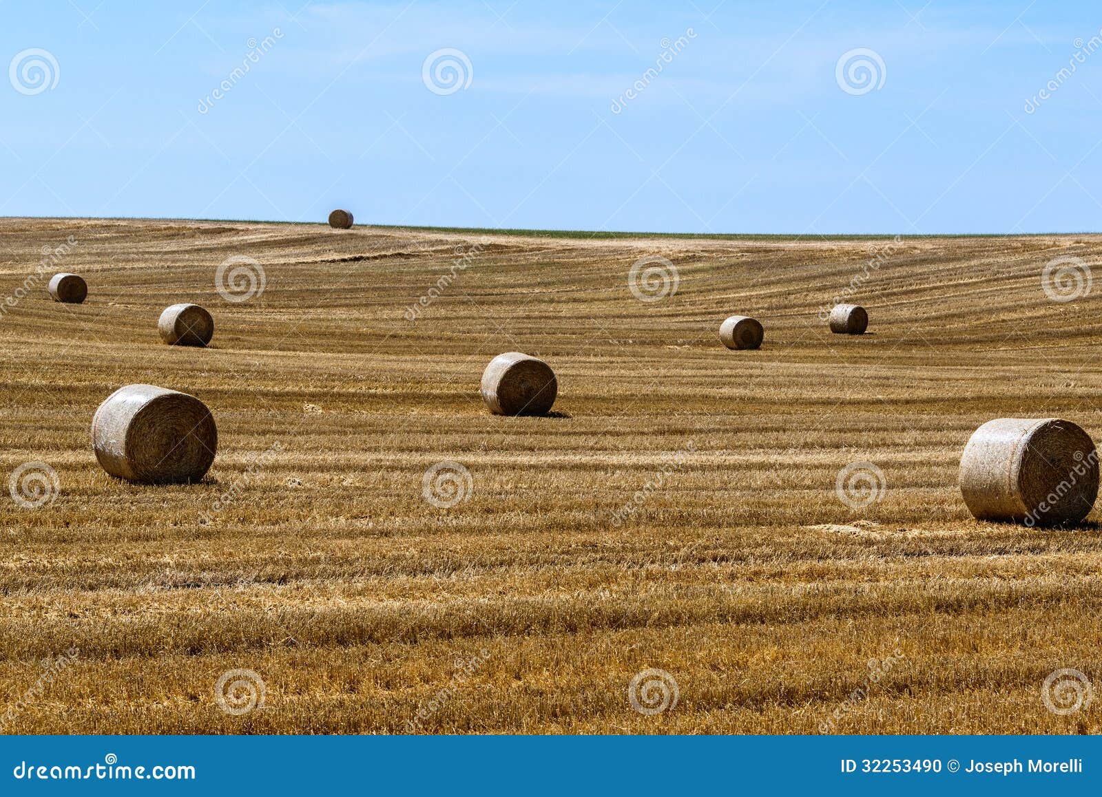 Straw field stock photo. Image of grain, field, golden - 32253490