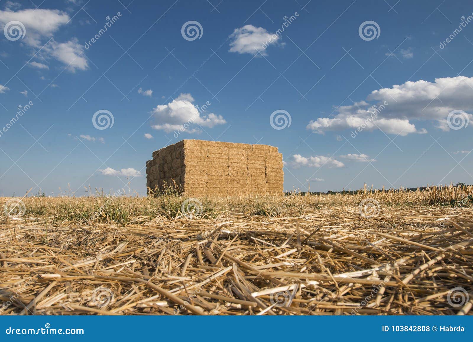 Straw field with stack stock photo. Image of farmland - 103842808