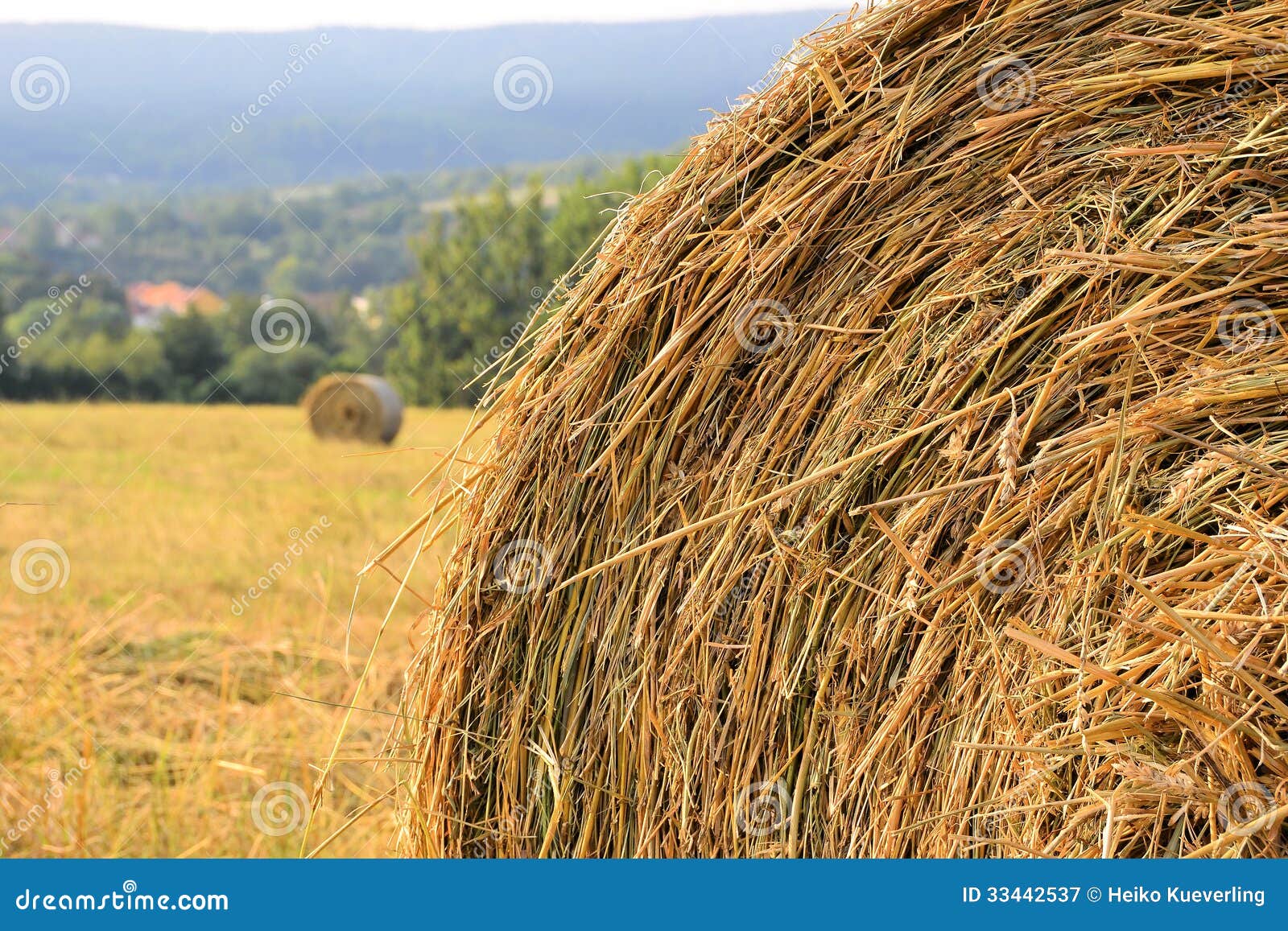 Straw on a field stock image. Image of bales, summer - 33442537