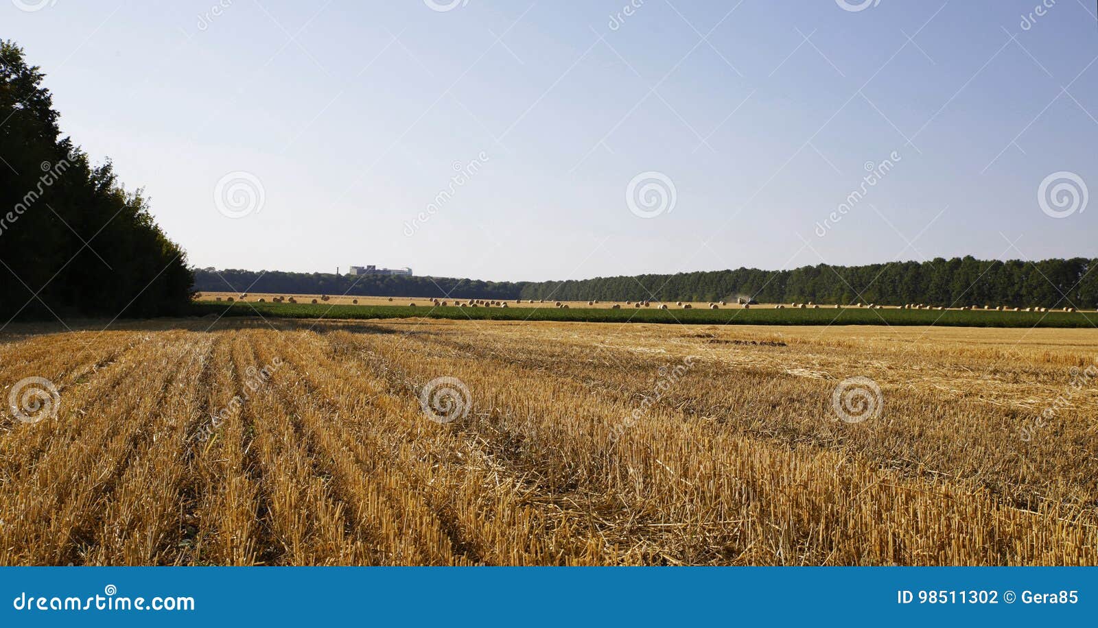Straw on the fields photo stock photo. Image of yellow - 98511302